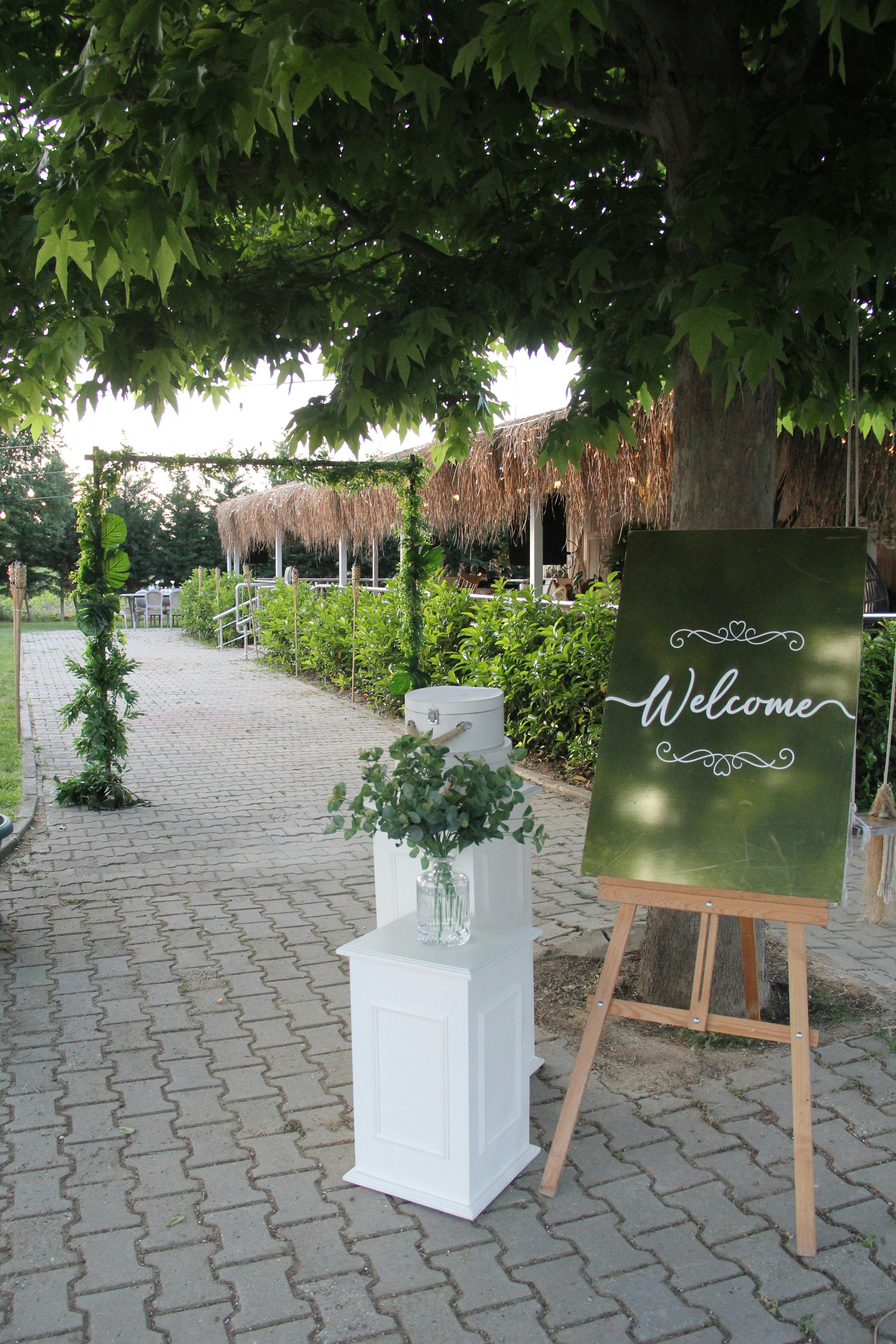 melis can - Photography