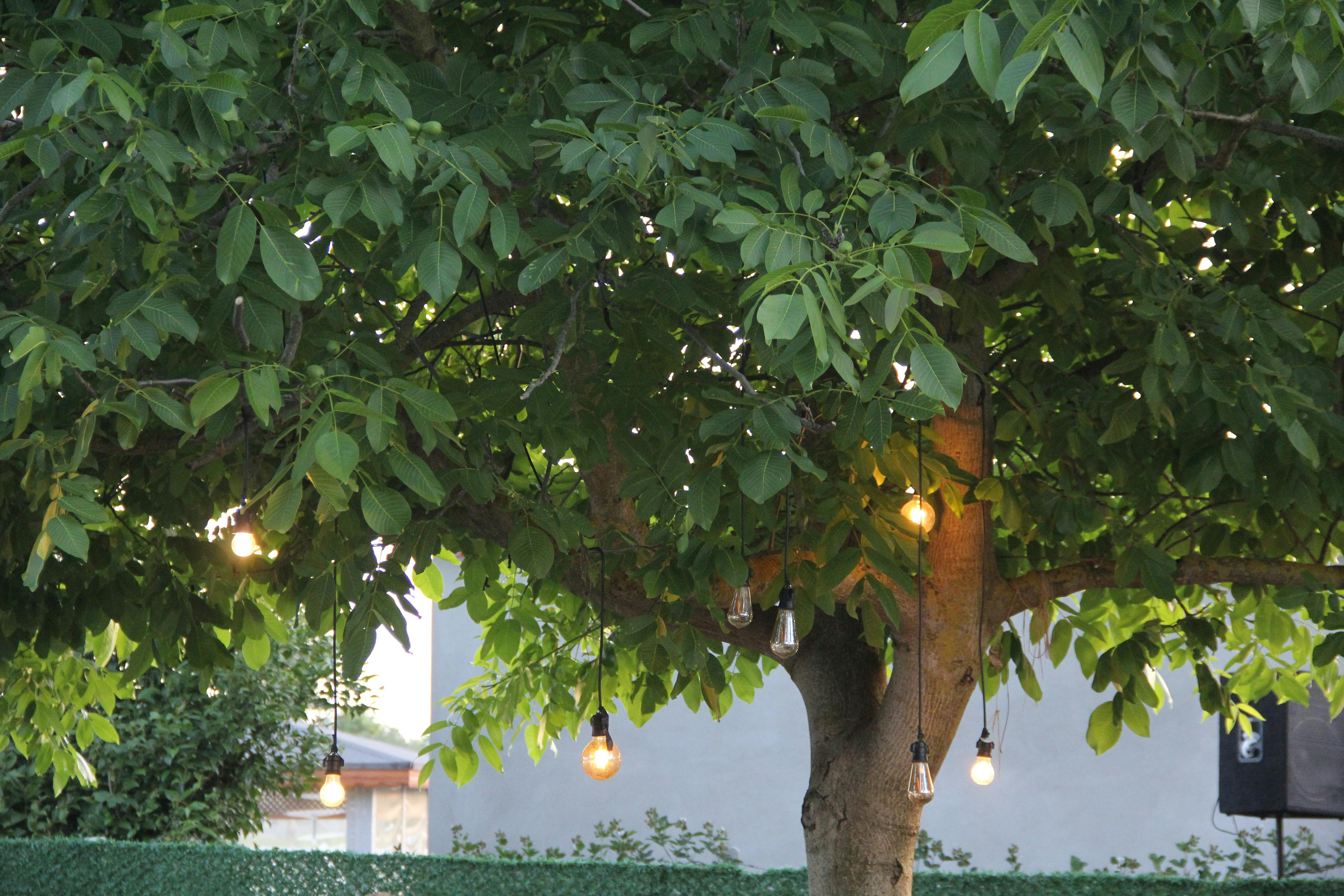 melis can - Photography