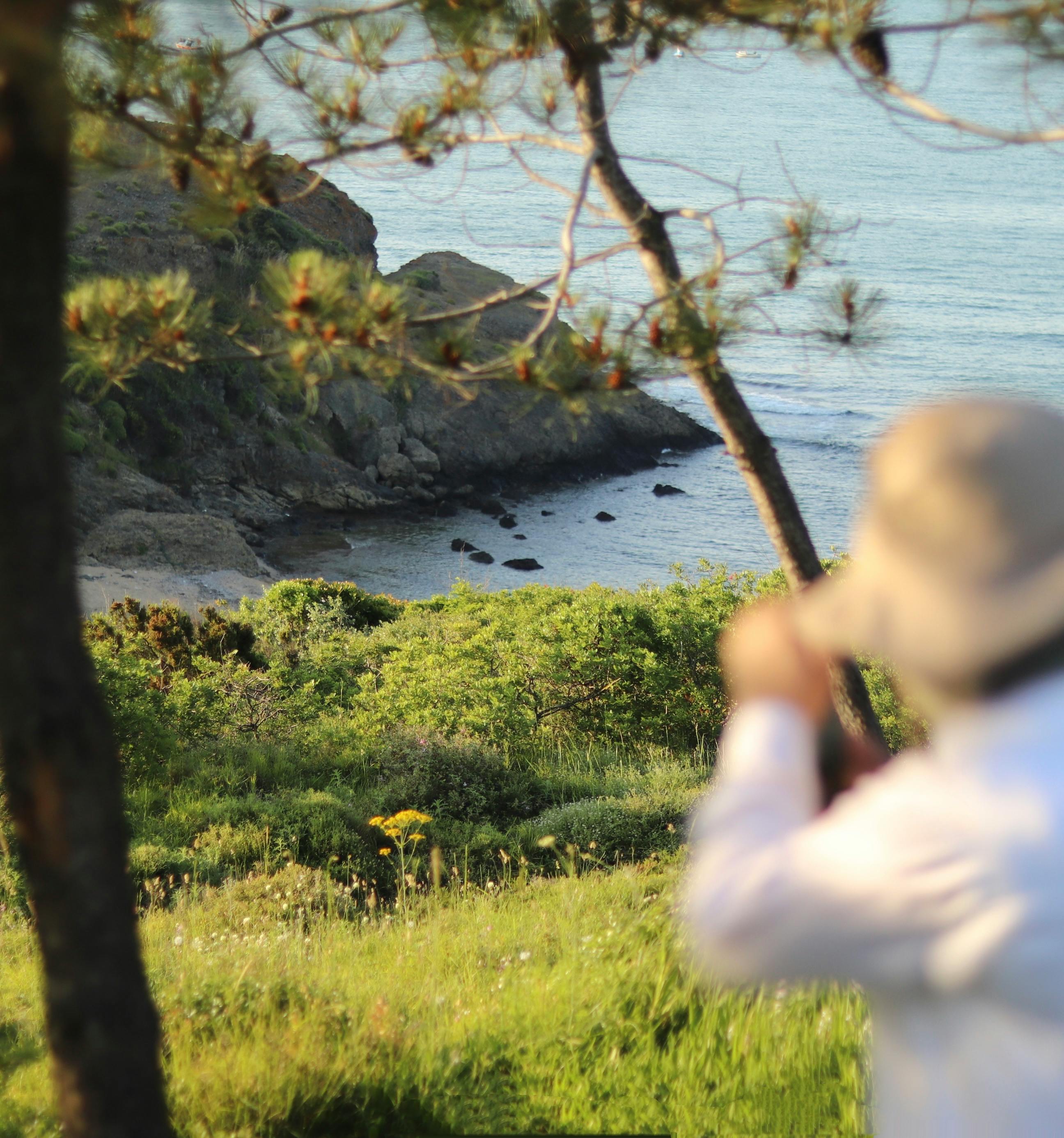 Overgrown Coast with a Person Standing in the Foreground · Free Stock Photo