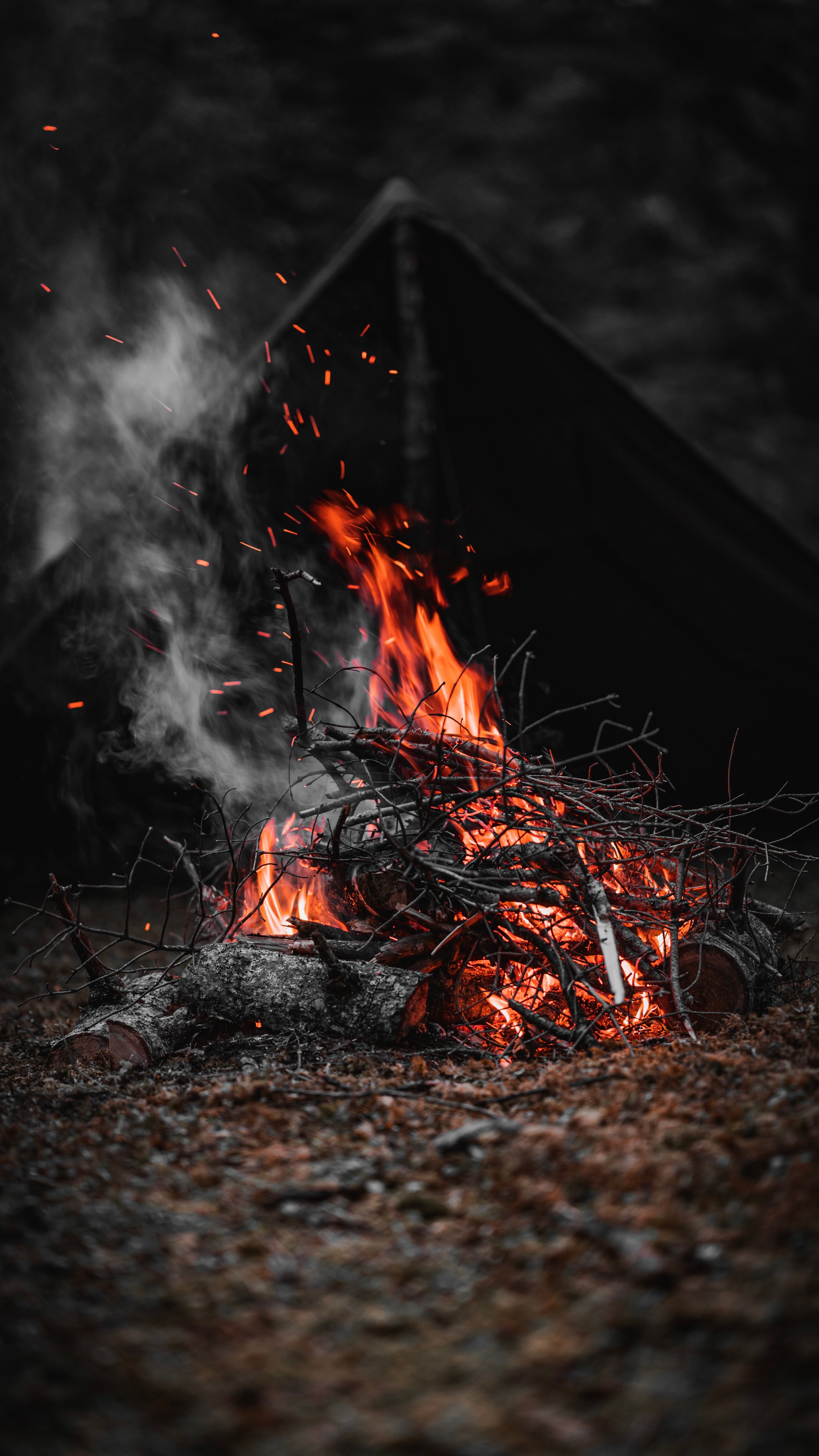 Fire in Bonfire · Free Stock Photo