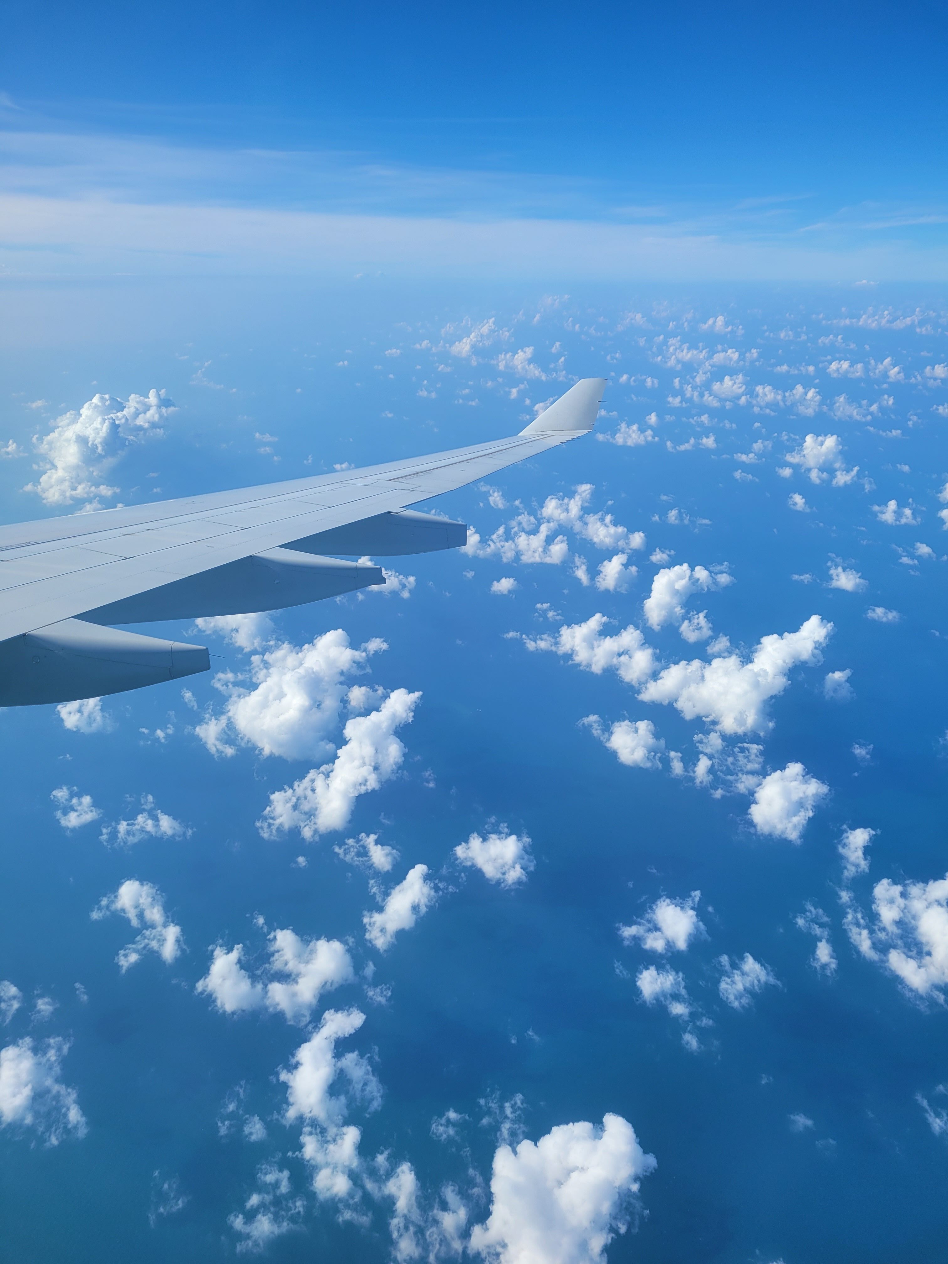 Foto de stock gratuita sobre ¡sobre las nubes!, aéreo, aerolínea ...