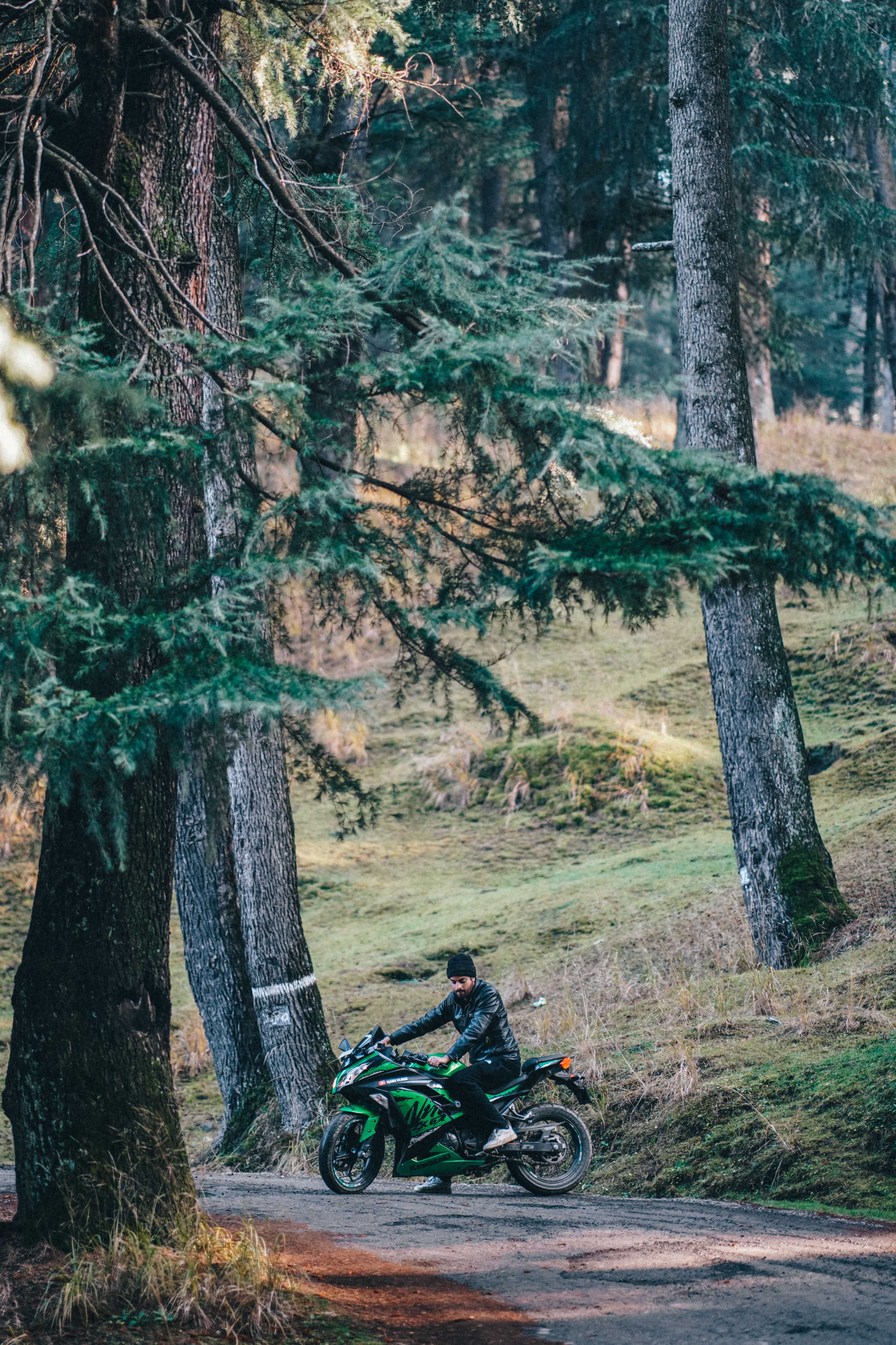 Man on Motorbike in Forest · Free Stock Photo