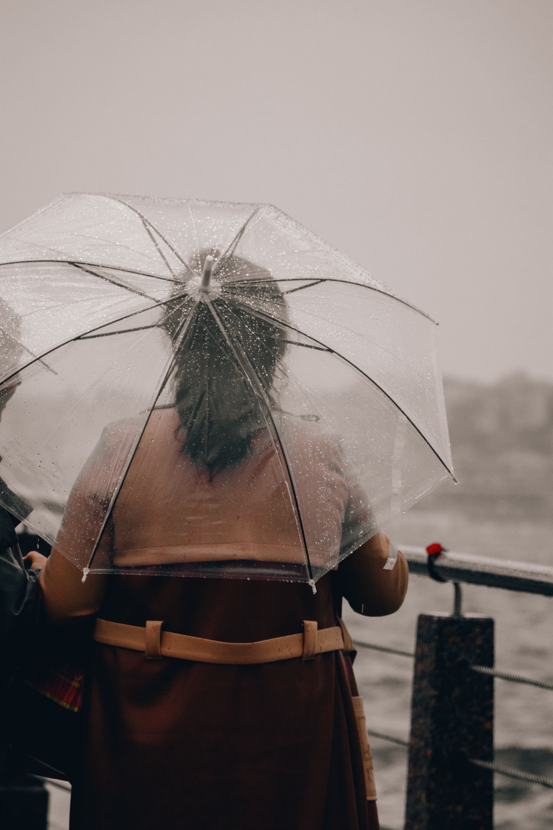 Back View of Woman with Transparent Umbrella · Free Stock Photo