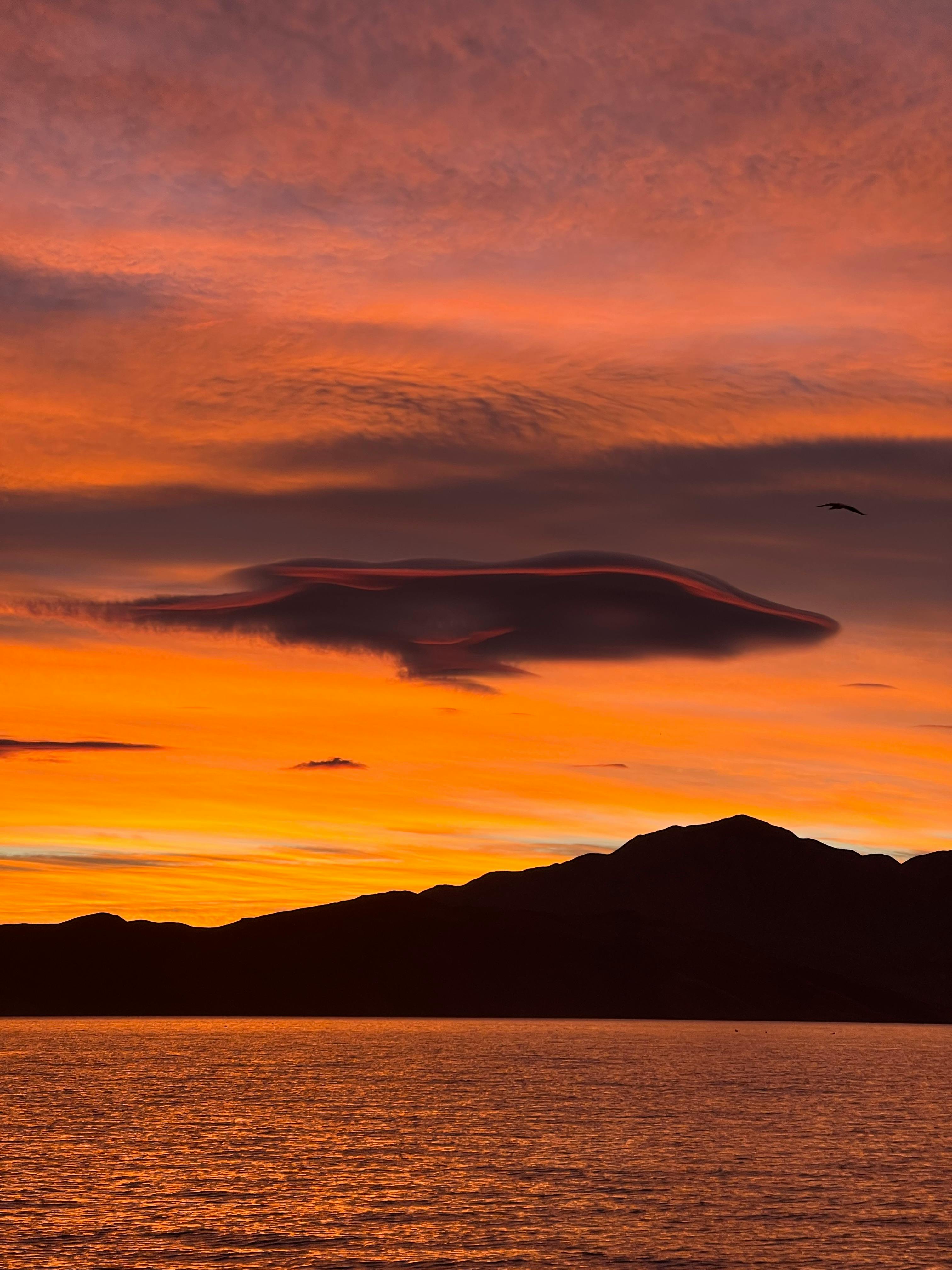 Skyline Vector Photos, Download The BEST Free Skyline Vector Stock ...