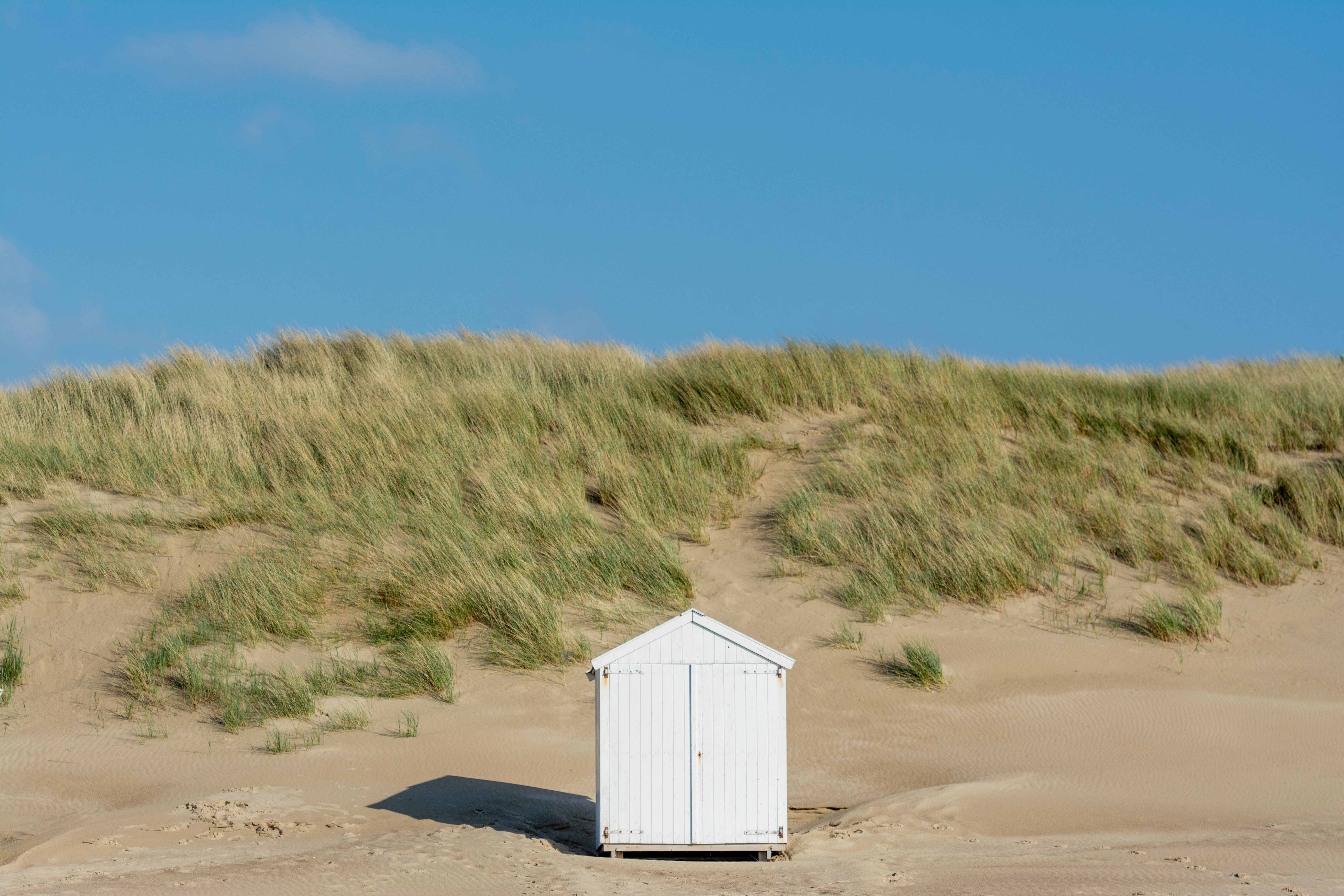 Sunlit Shed on Beach · Free Stock Photo