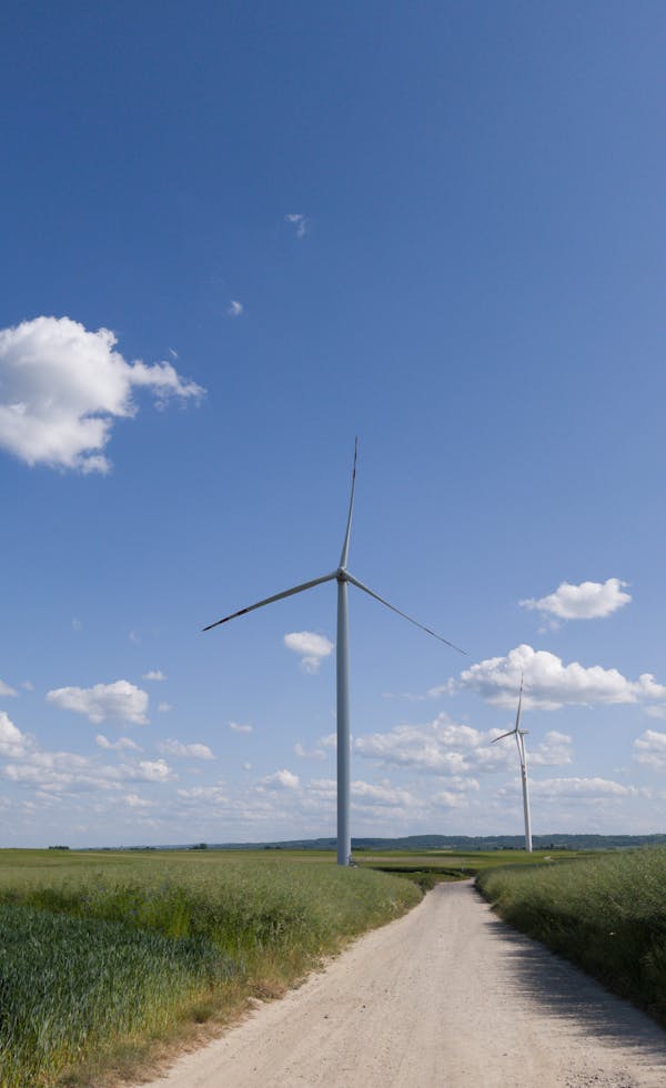 Wind Blasted Photos, Download The BEST Free Wind Blasted Stock Photos ...