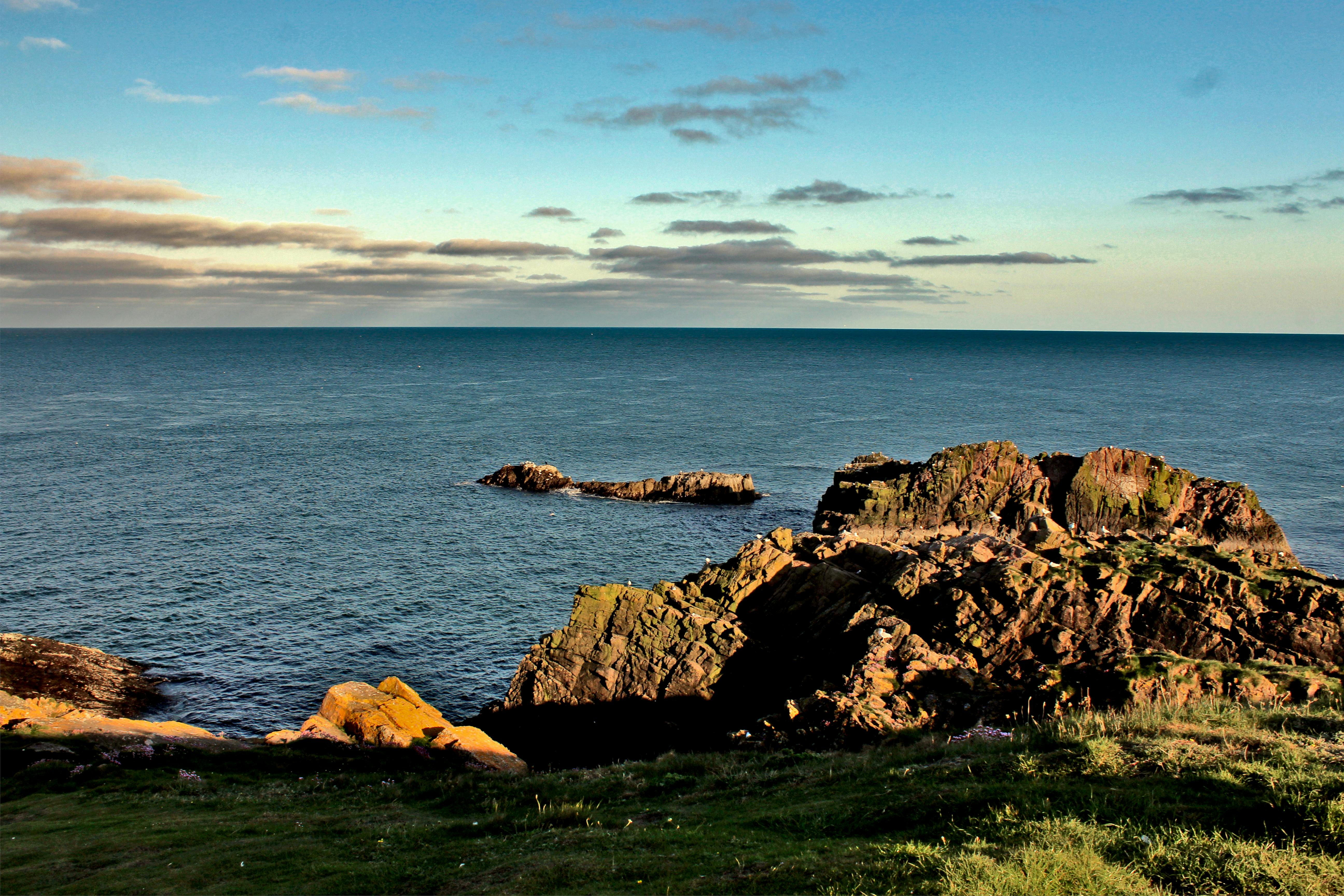 Peterhead Photos, Download The BEST Free Peterhead Stock Photos & HD Images