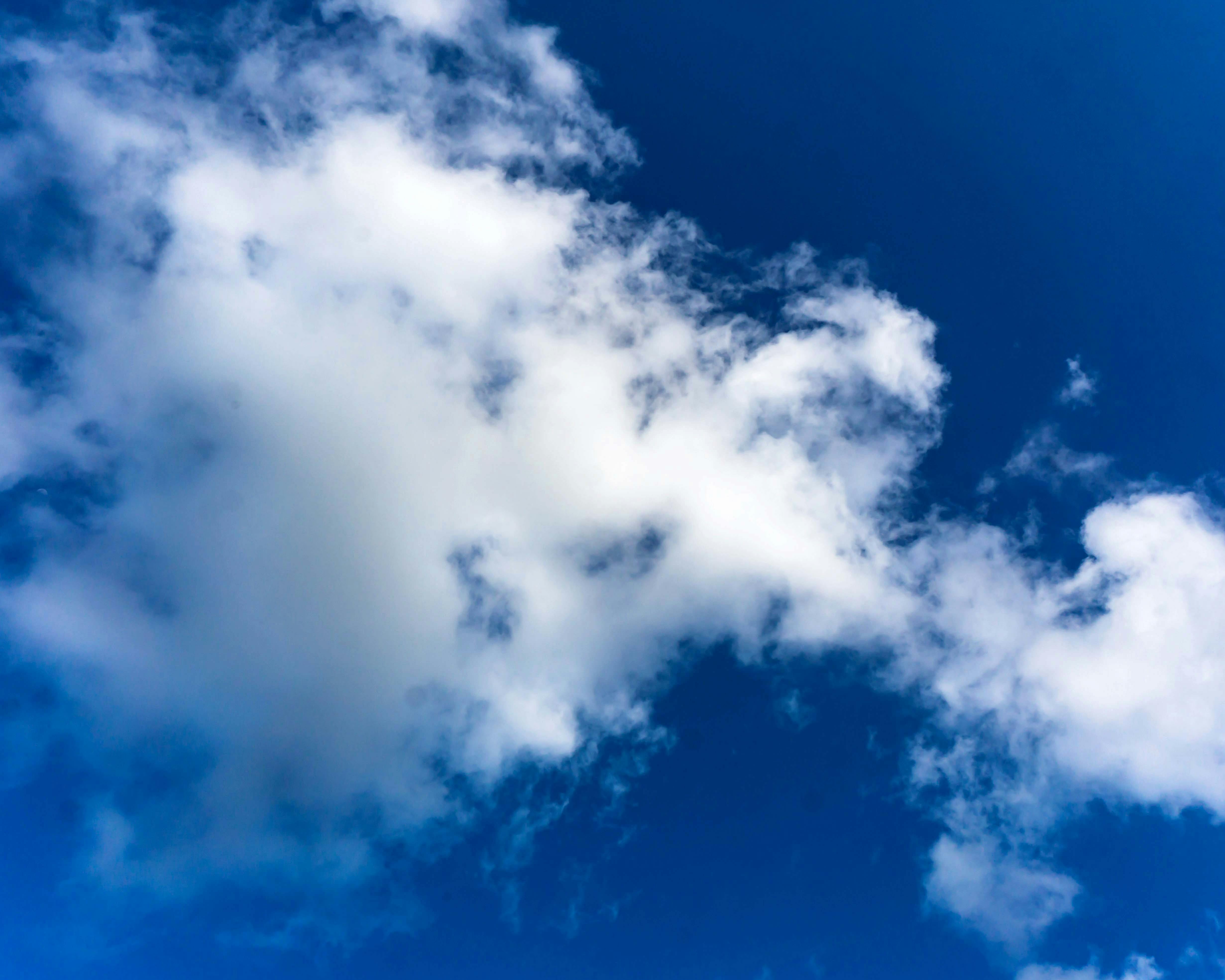 esela studio - Fotografía