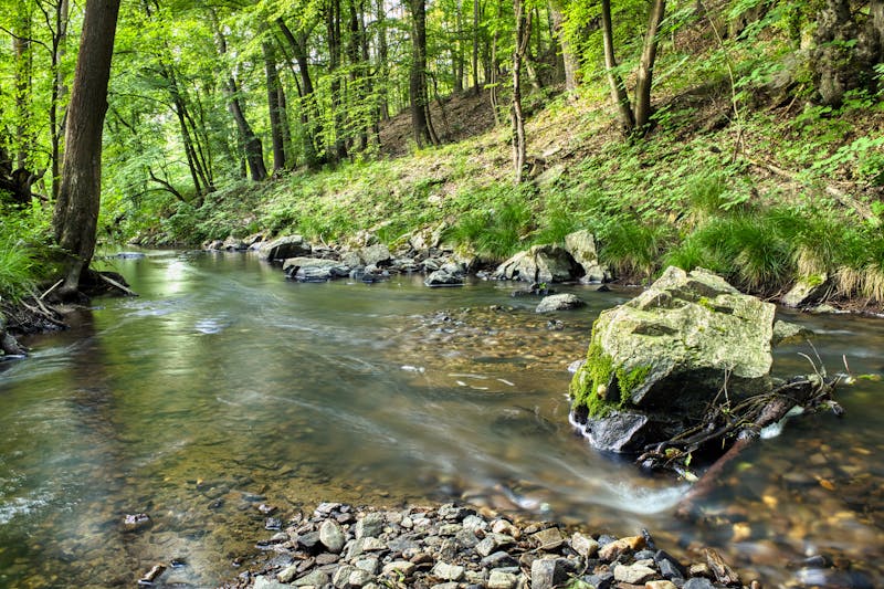 10,000+张最精彩的“Royalty Free Stream”图片 · 100%免费下载 · Pexels素材图片