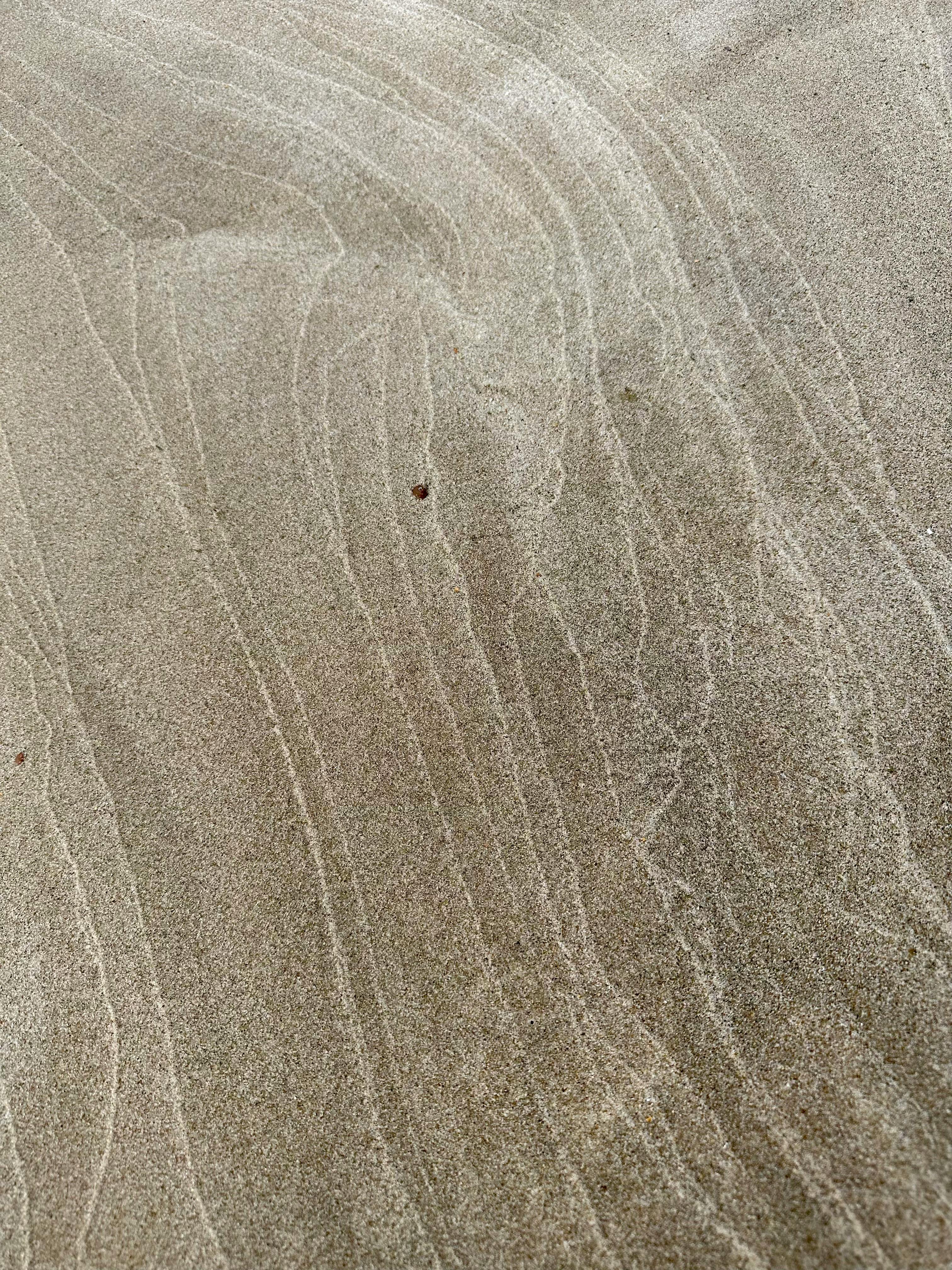 Close-Up Photo of White Sand · Free Stock Photo