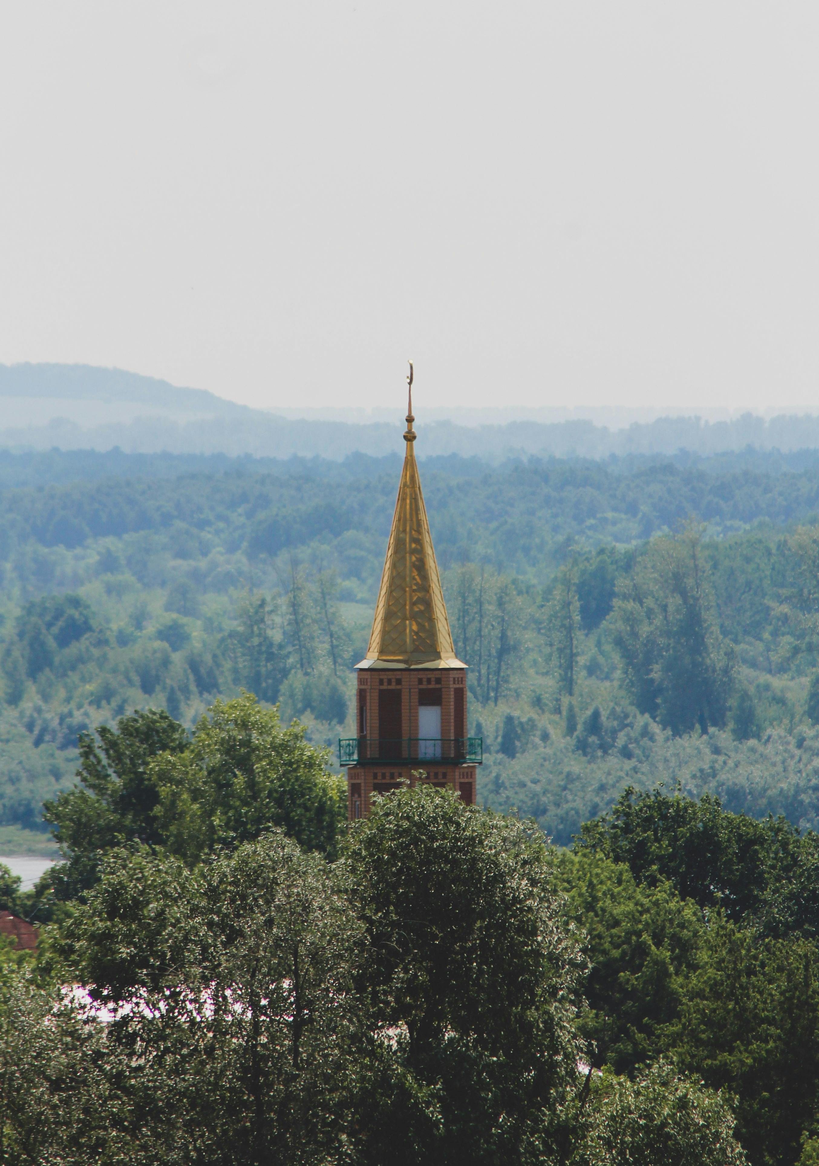 Church Tower over Trees · Free Stock Photo