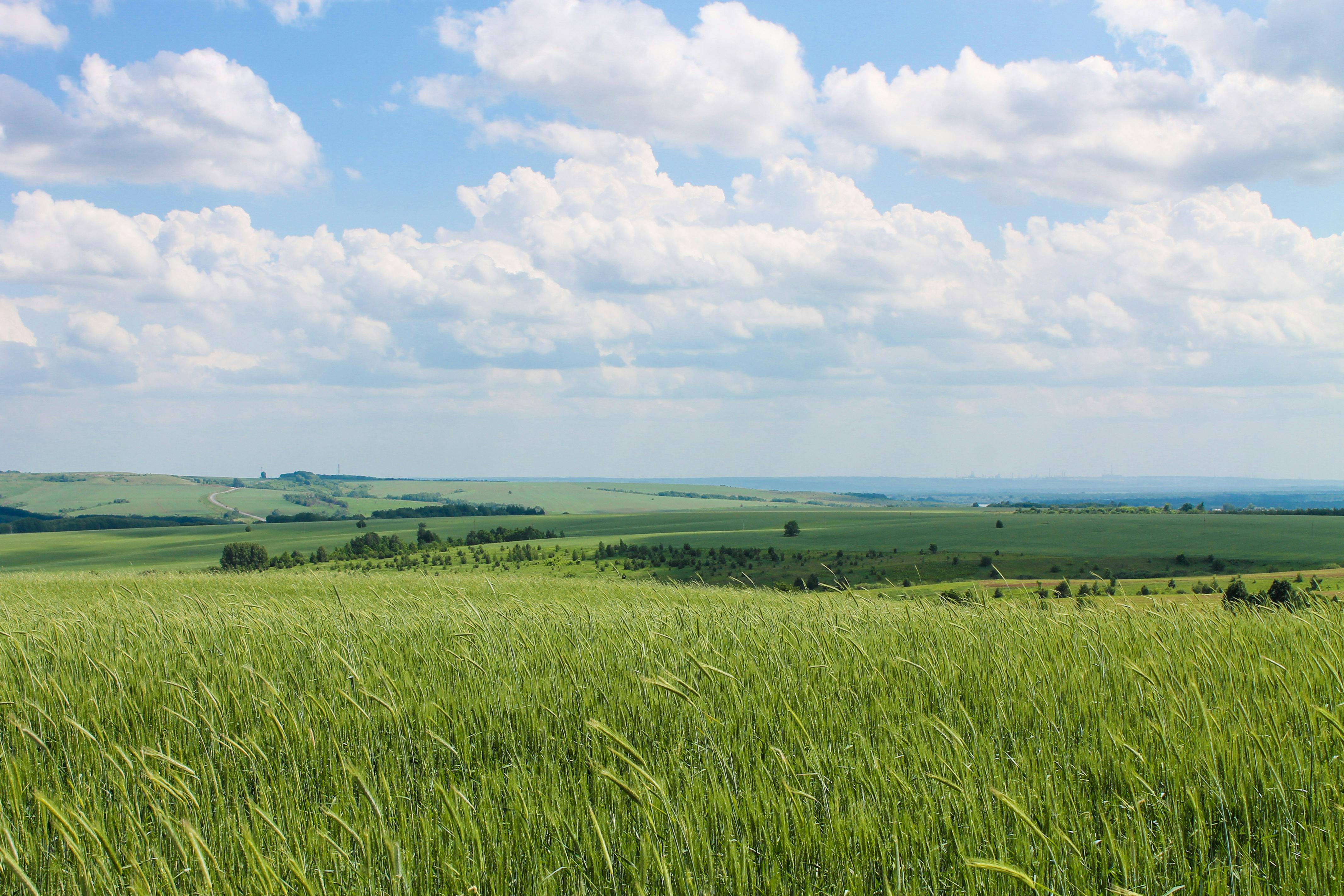 Window Frame over Grassland · Free Stock Photo