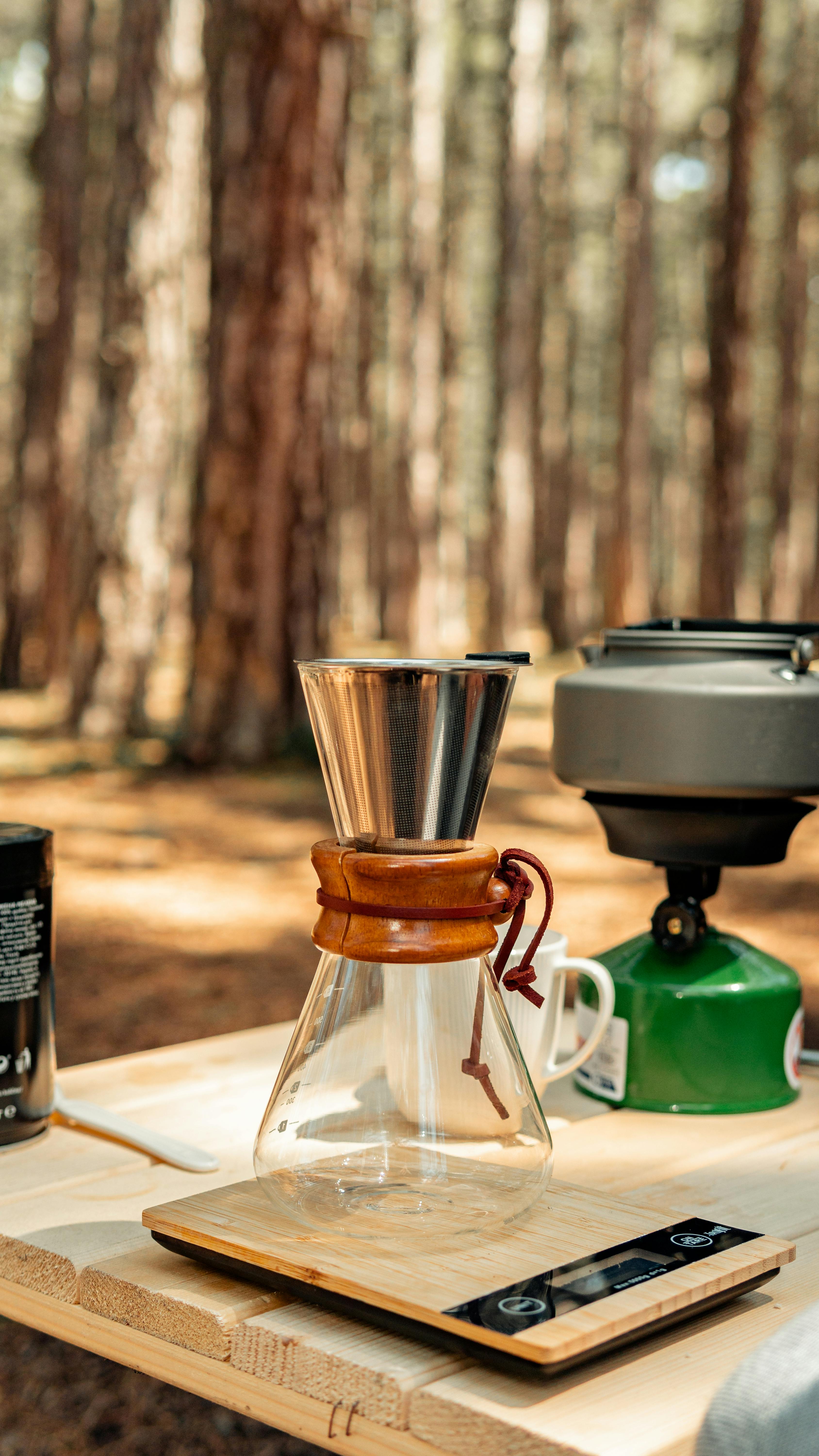 Pitcher In Forest Photos, Download The BEST Free Pitcher In Forest ...