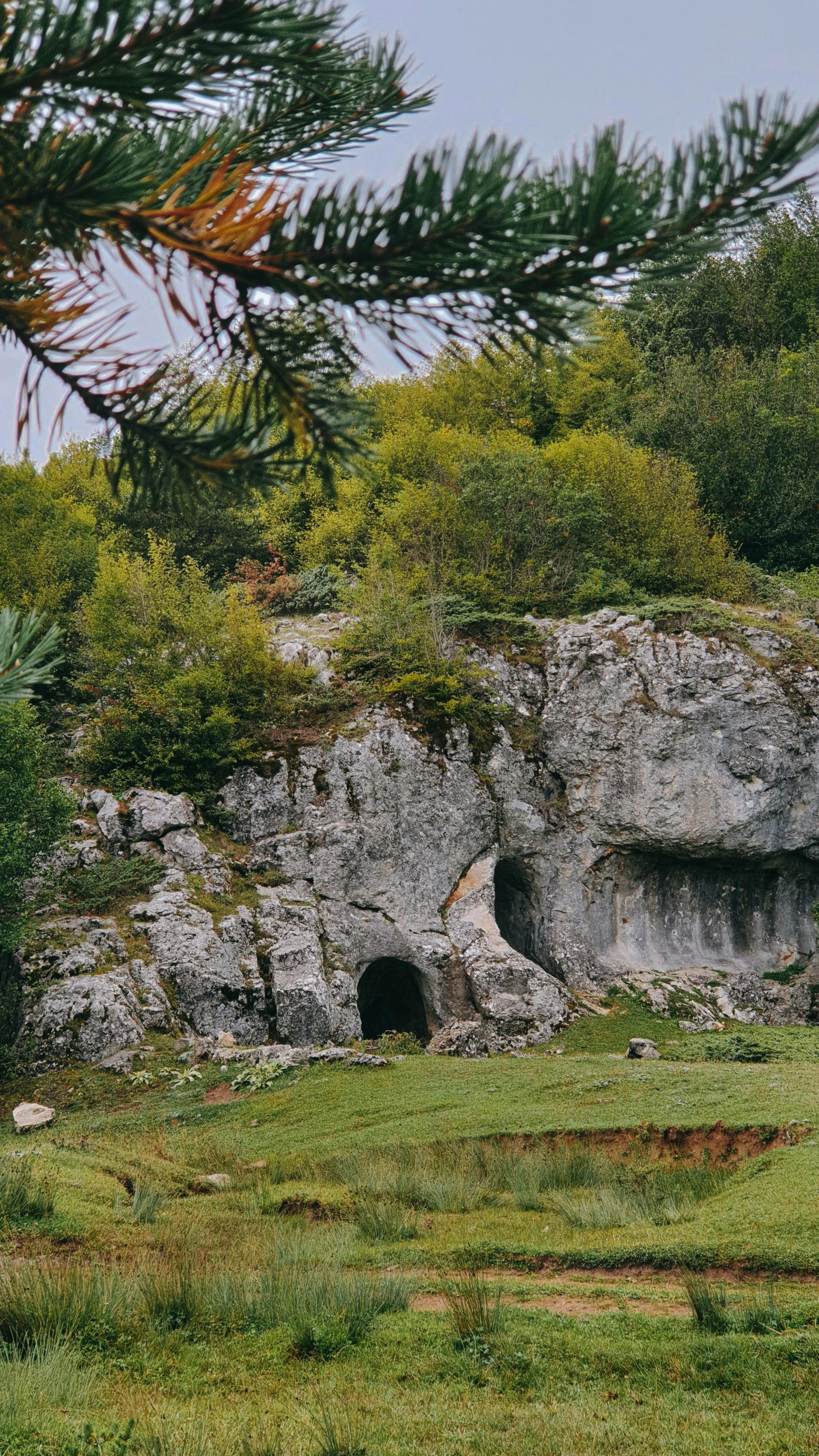 Forest Rock Formation with Cave · Free Stock Photo