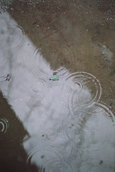Rain Ripples Photos, Download The BEST Free Rain Ripples Stock Photos ...
