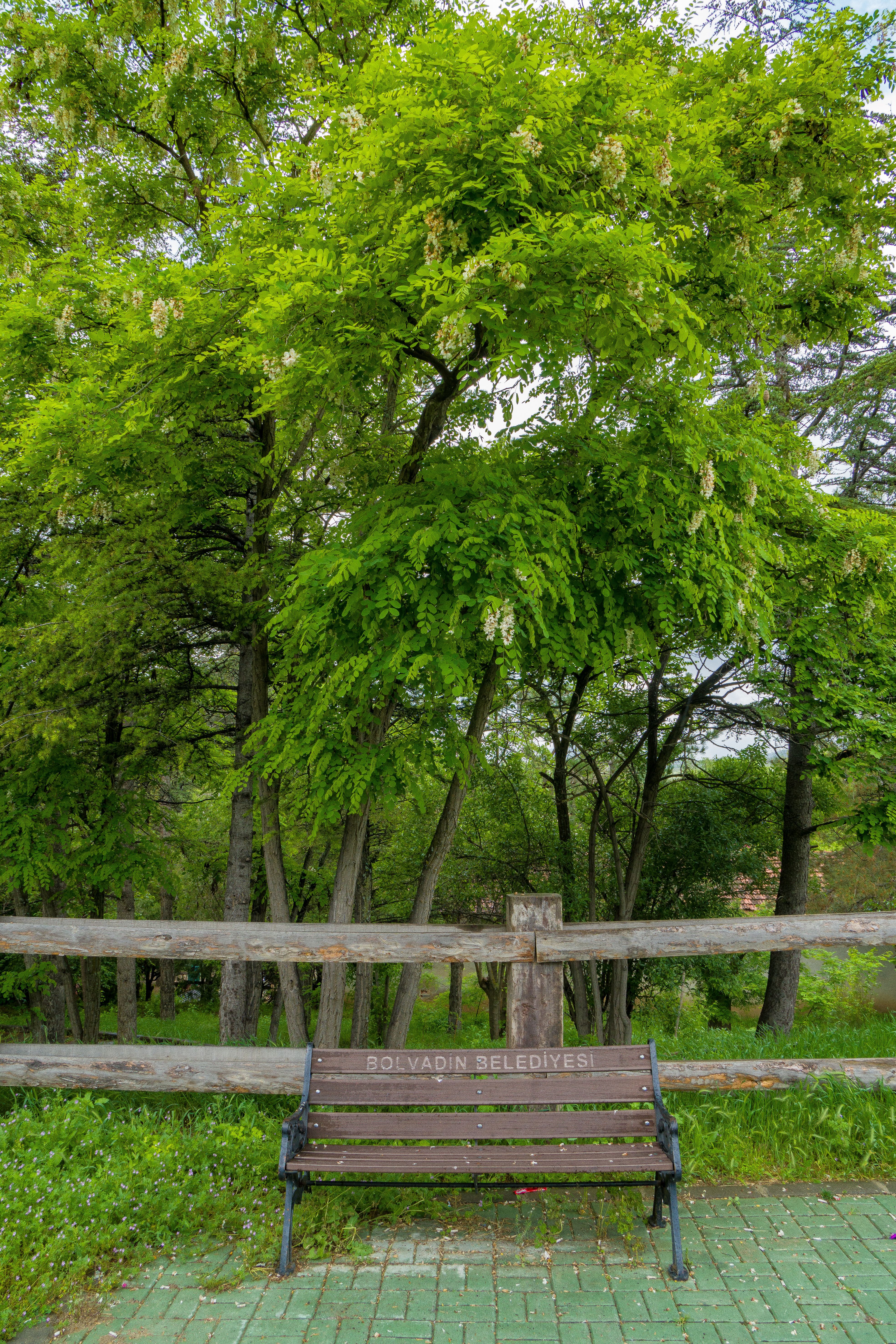Bench in Countryside · Free Stock Photo