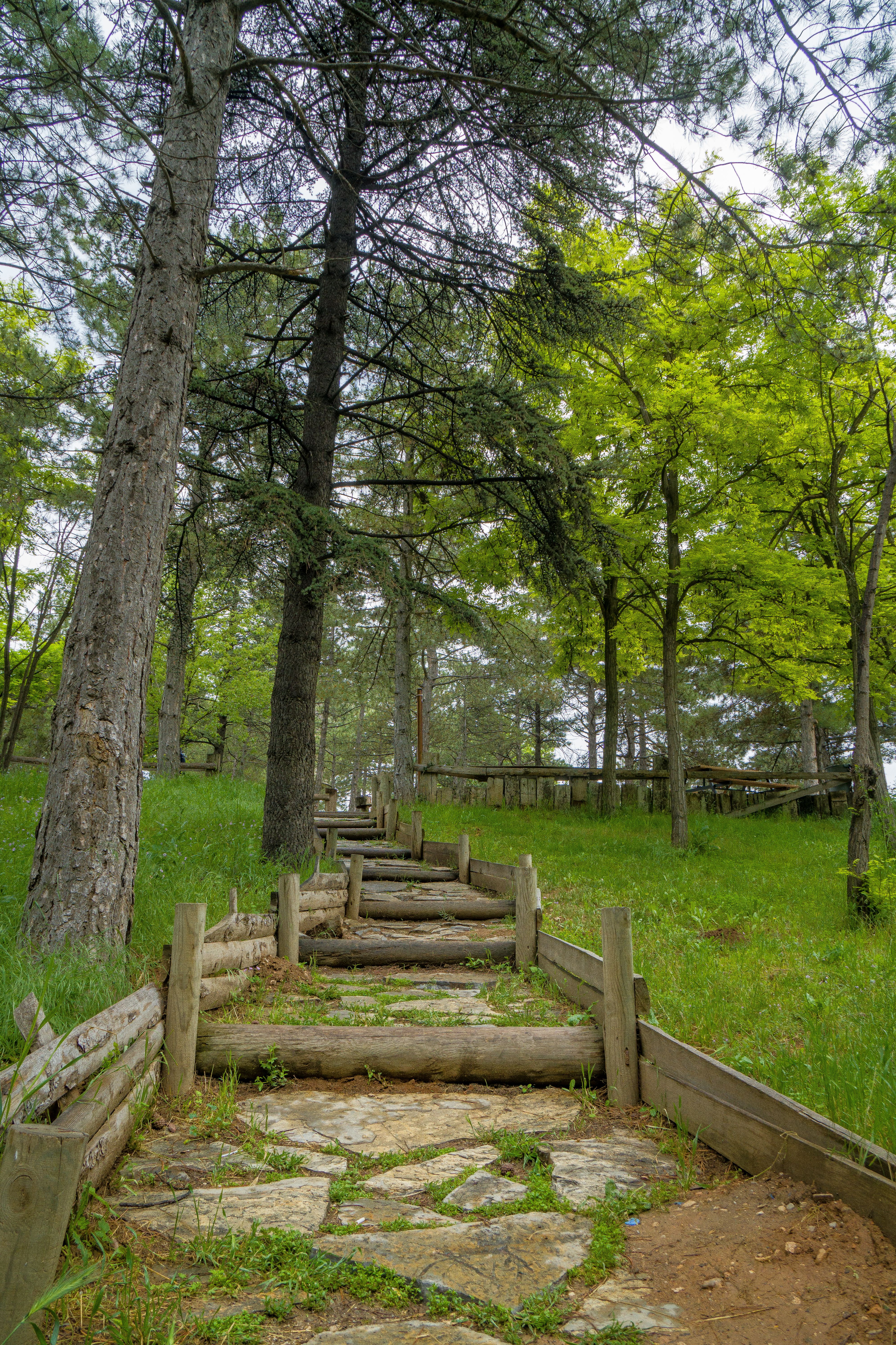 Wooden Stairs in Park · Free Stock Photo