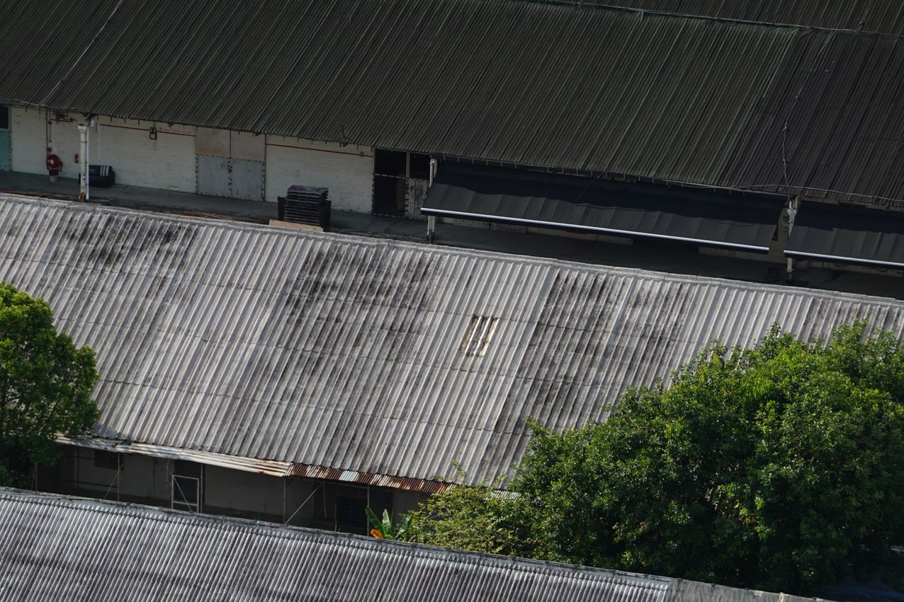 Zinc Roof Jamaica: Expert Guide for Homeowners & Builders