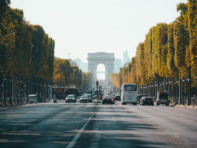 French Road Trees Photos, Download The BEST Free French Road Trees ...