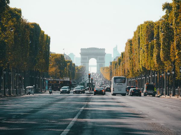 French Road Trees Photos, Download The BEST Free French Road Trees ...
