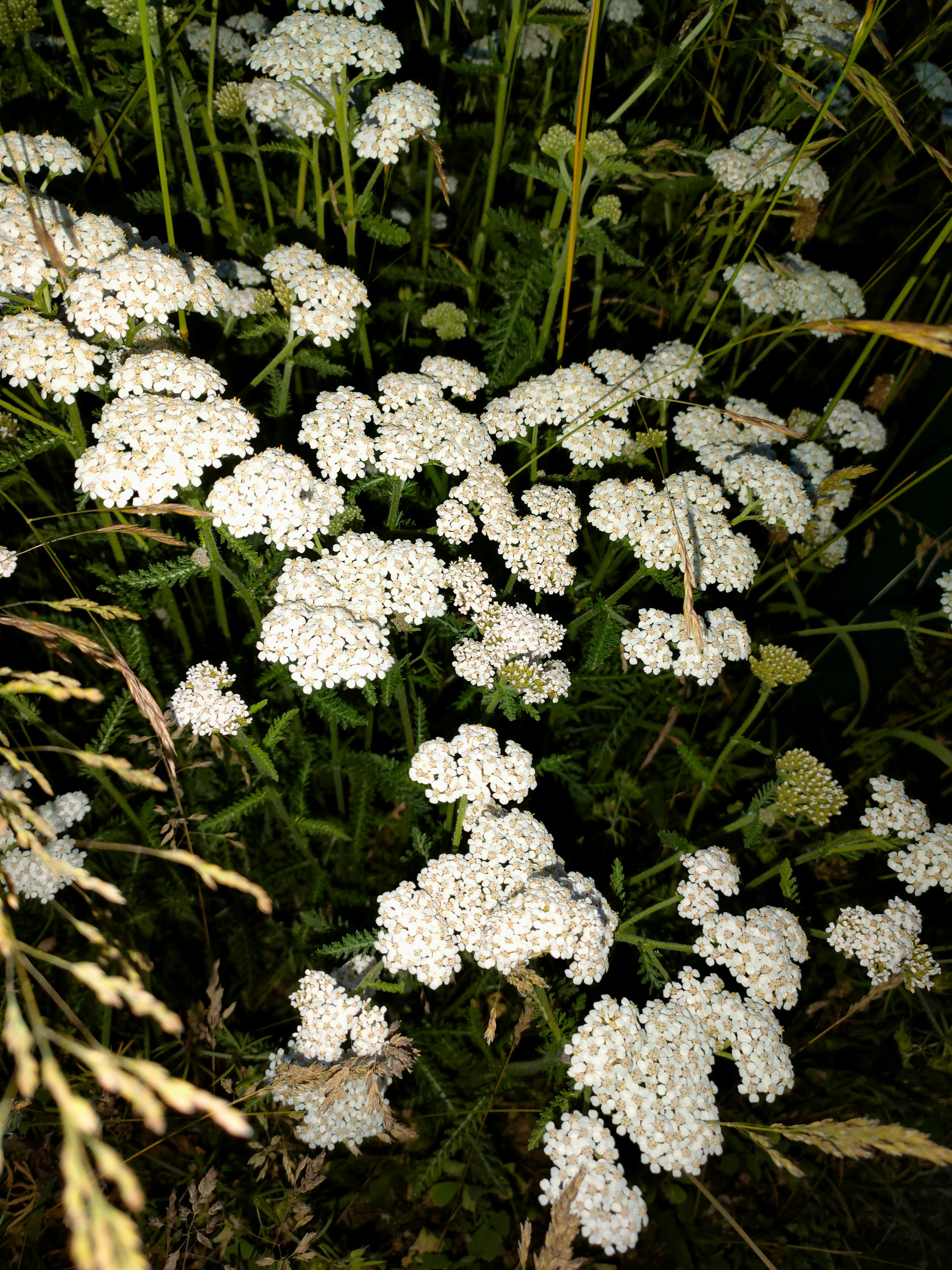 Zied Rezgui - Photography