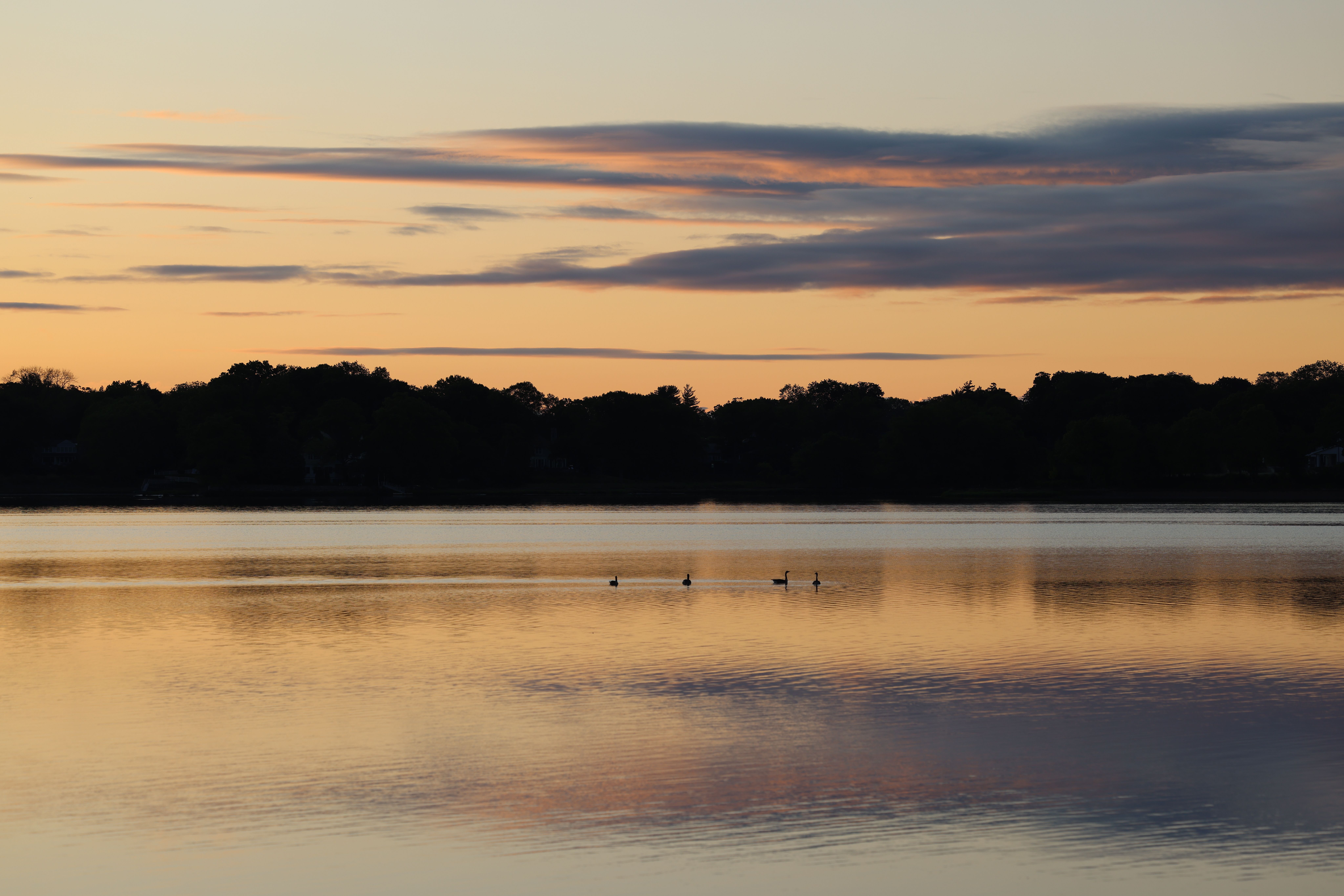 Nature Sunset Photos, Download The BEST Free Nature Sunset Stock Photos ...