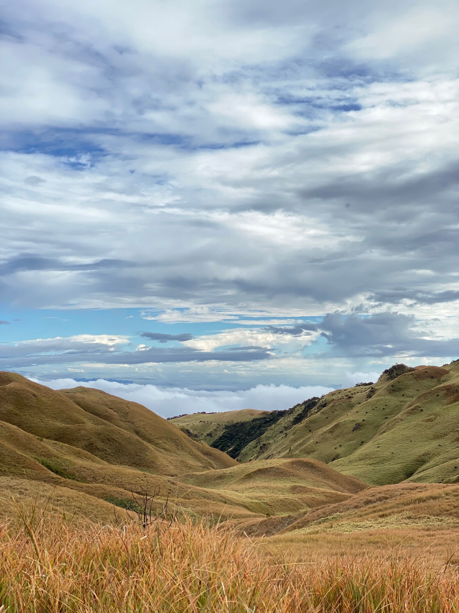 Grassy Hills Photos, Download The BEST Free Grassy Hills Stock Photos ...