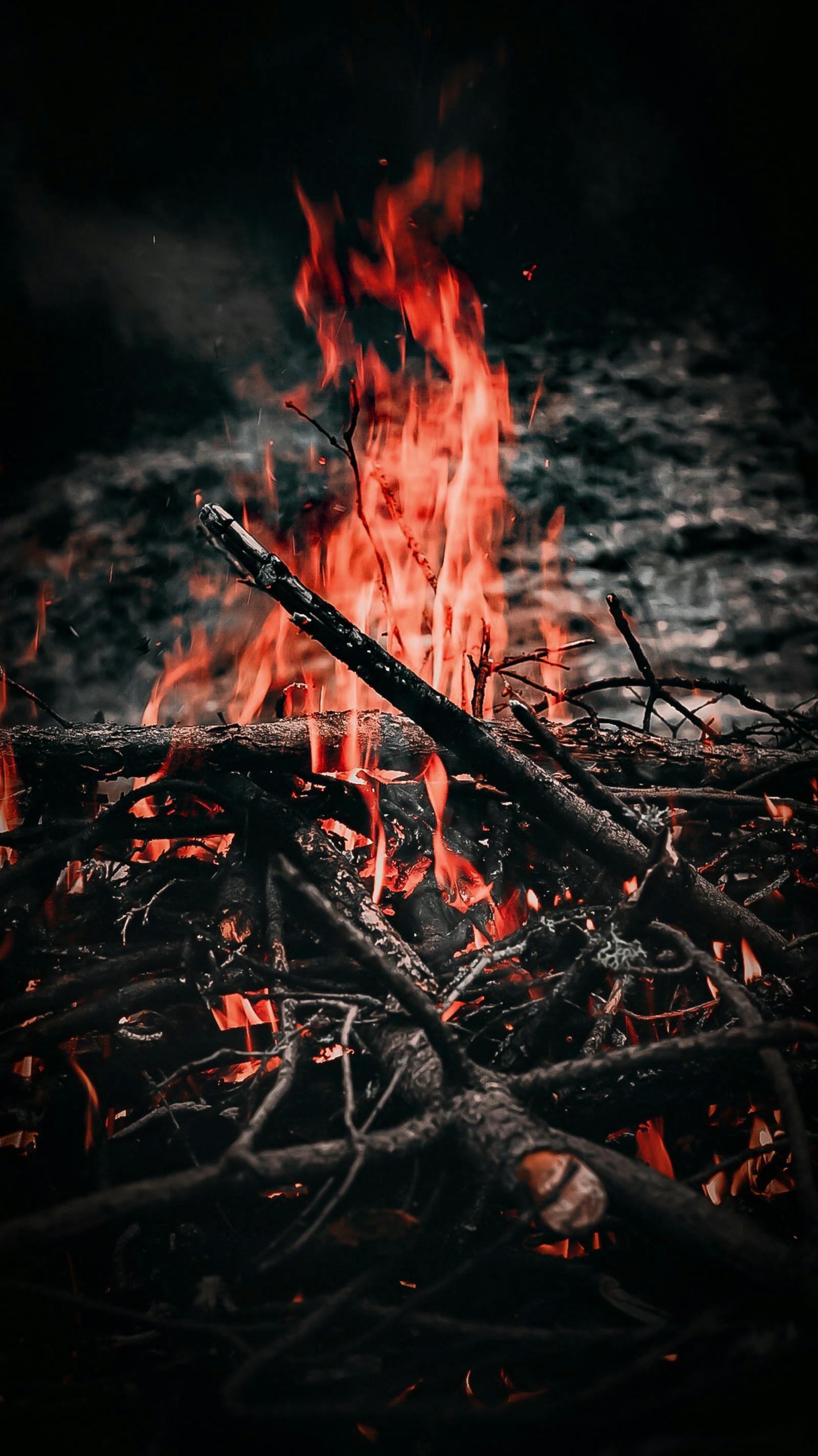 4k Campfire Photos, Download The BEST Free 4k Campfire Stock Photos ...