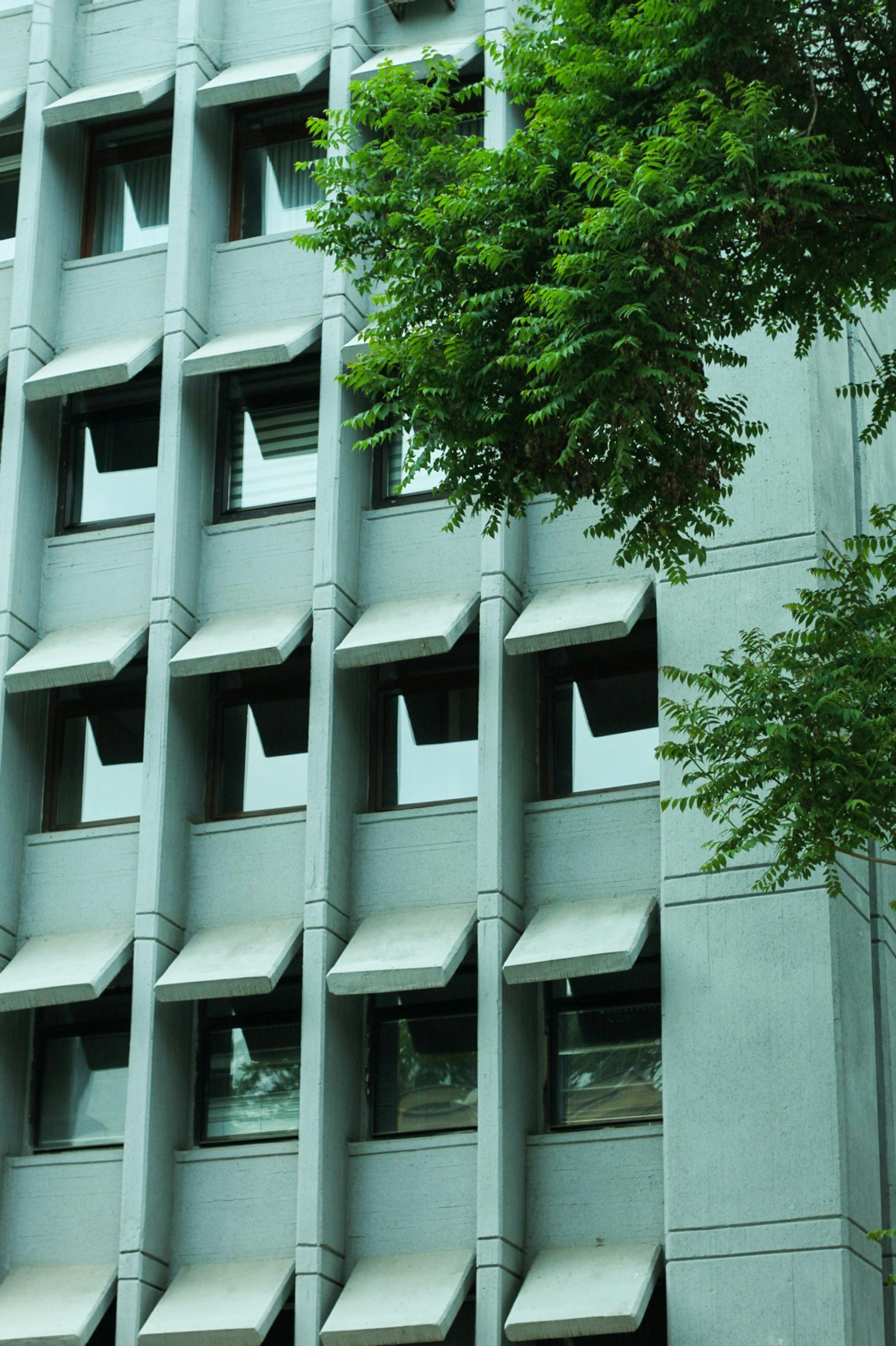 Concrete High Rise Building at Sunrise · Free Stock Photo
