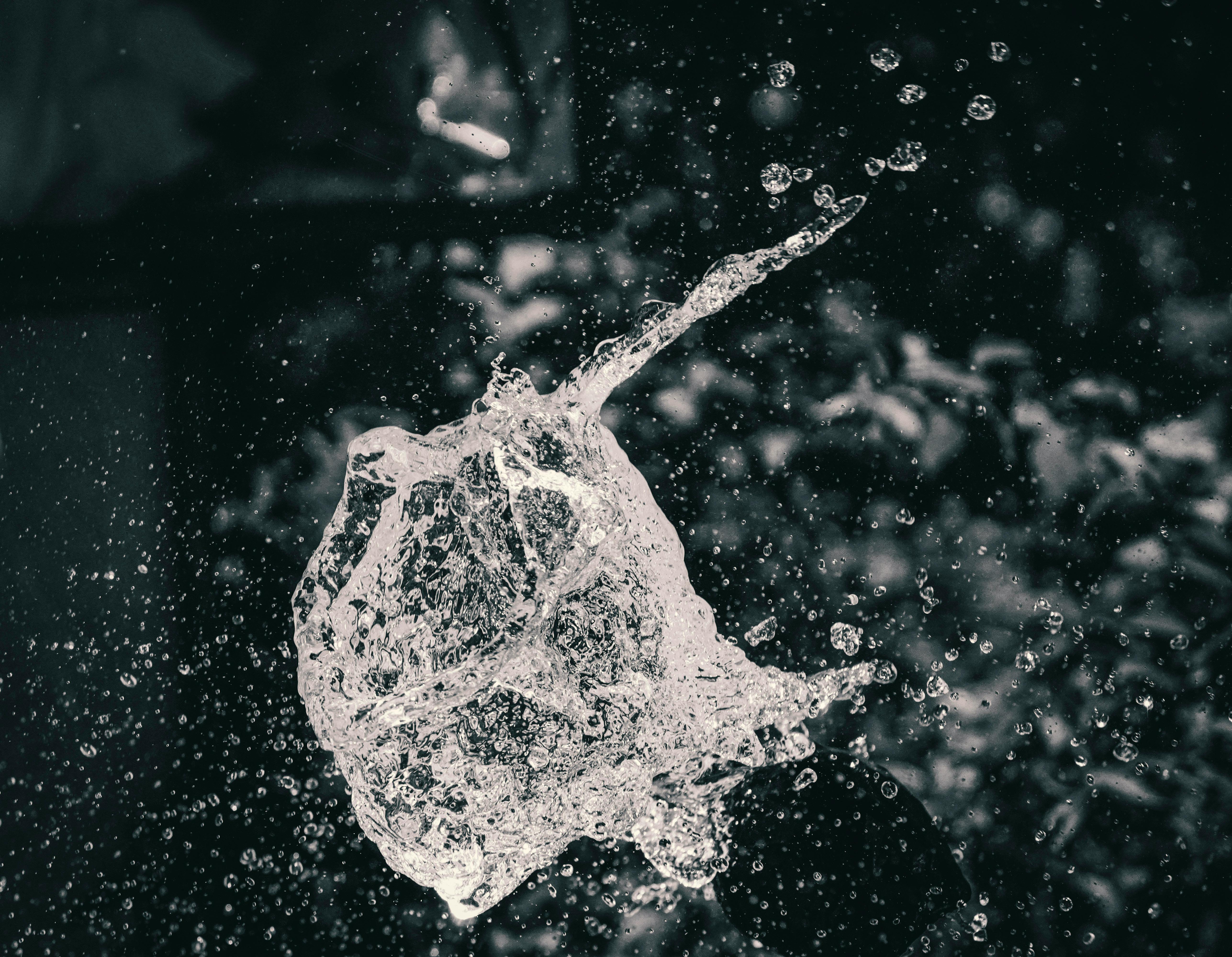 Shallow Focus Photography of Water Drops · Free Stock Photo