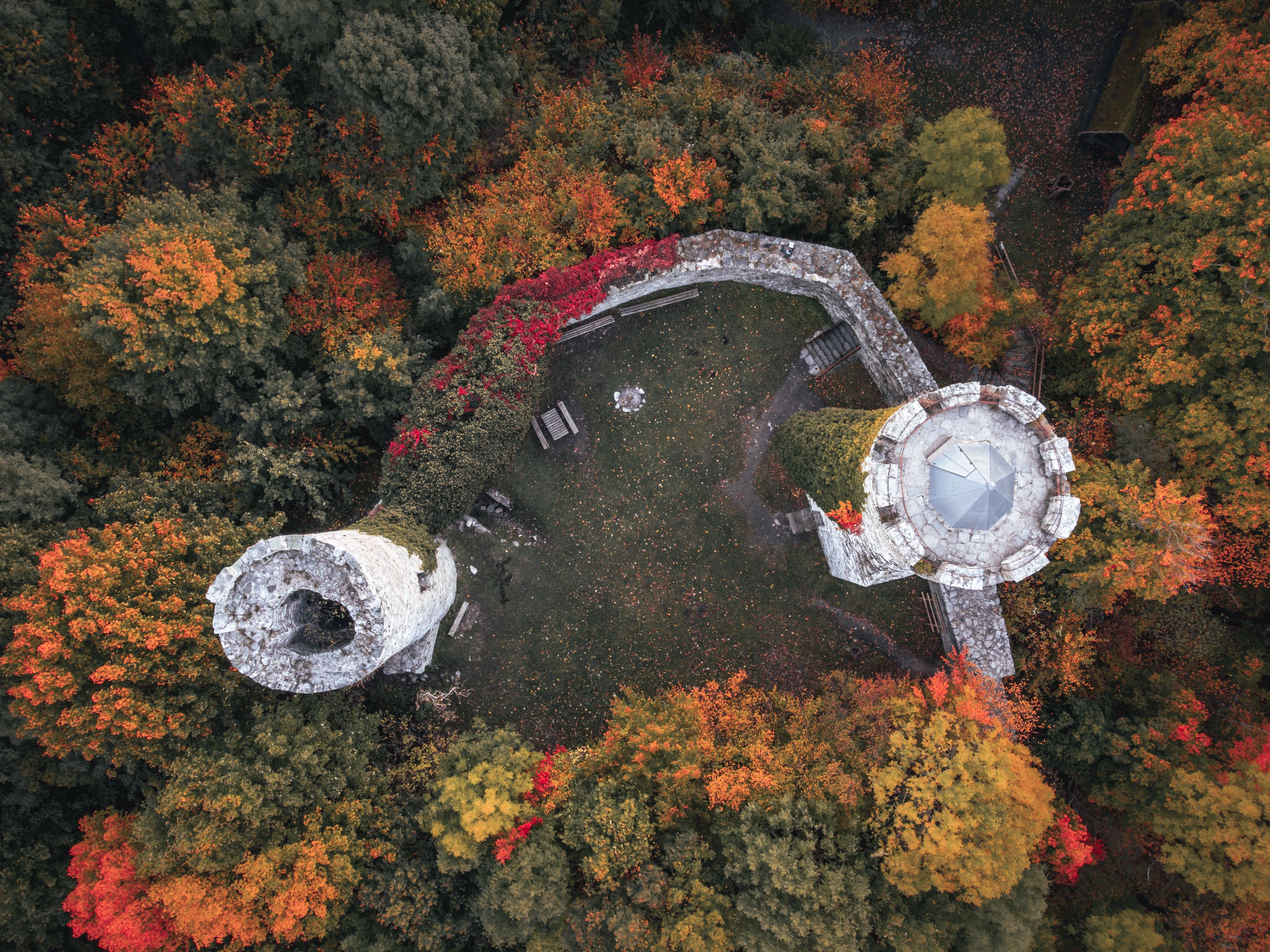 Autumn Trees around Castle Ruins in Forest · Free Stock Photo