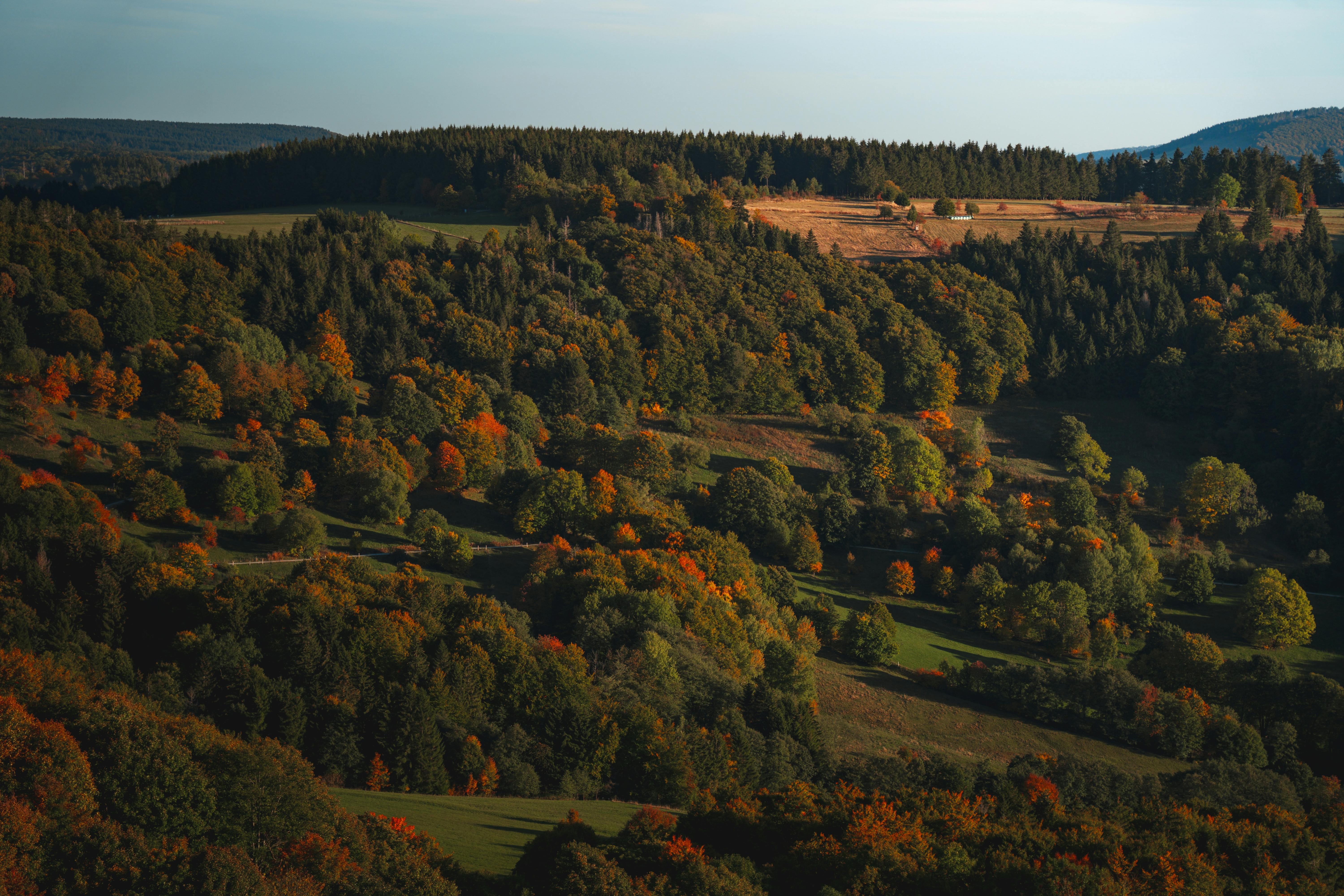 Rural Landscape in Autumn · Free Stock Photo