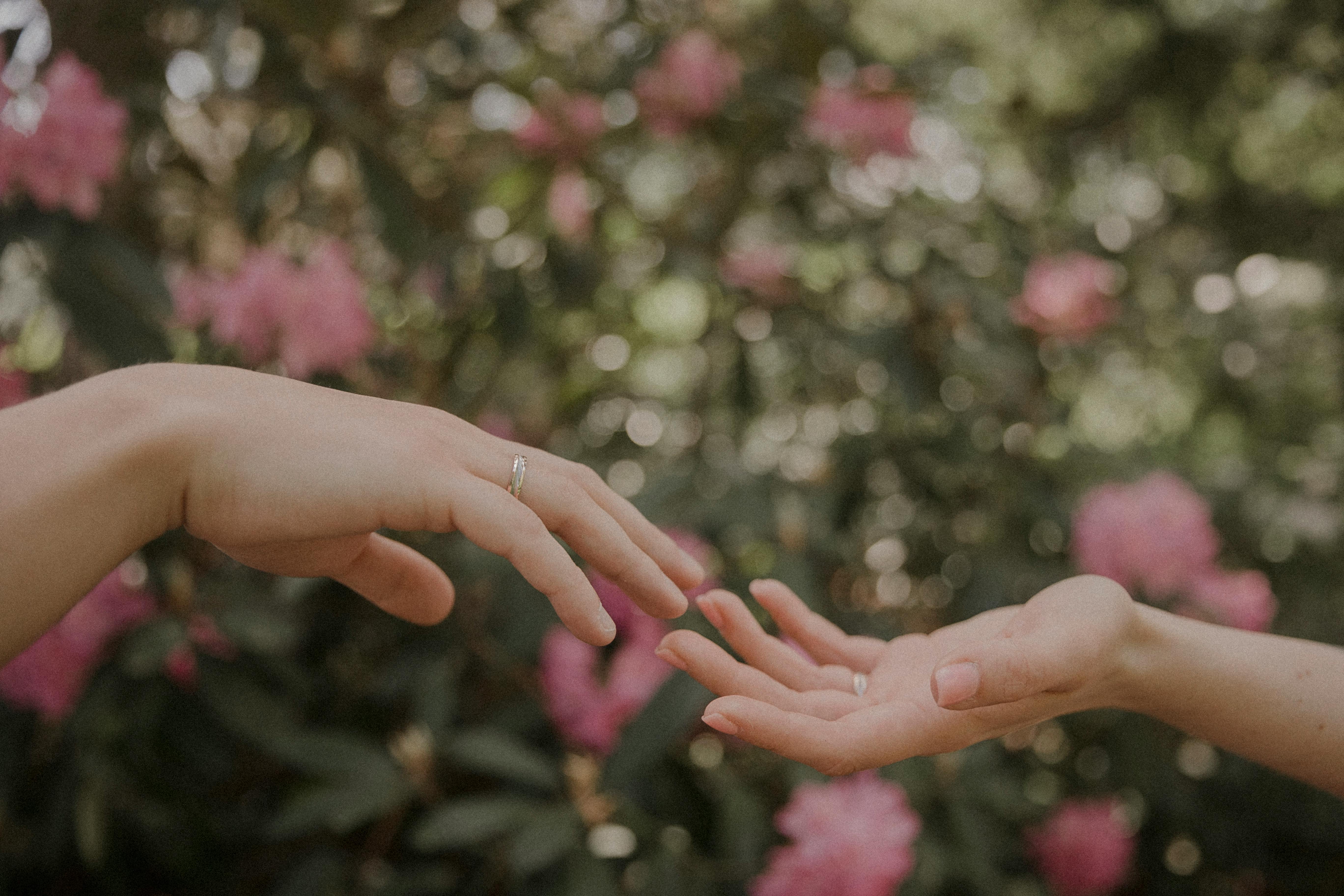 Two Hands Reaching to Touch · Free Stock Photo
