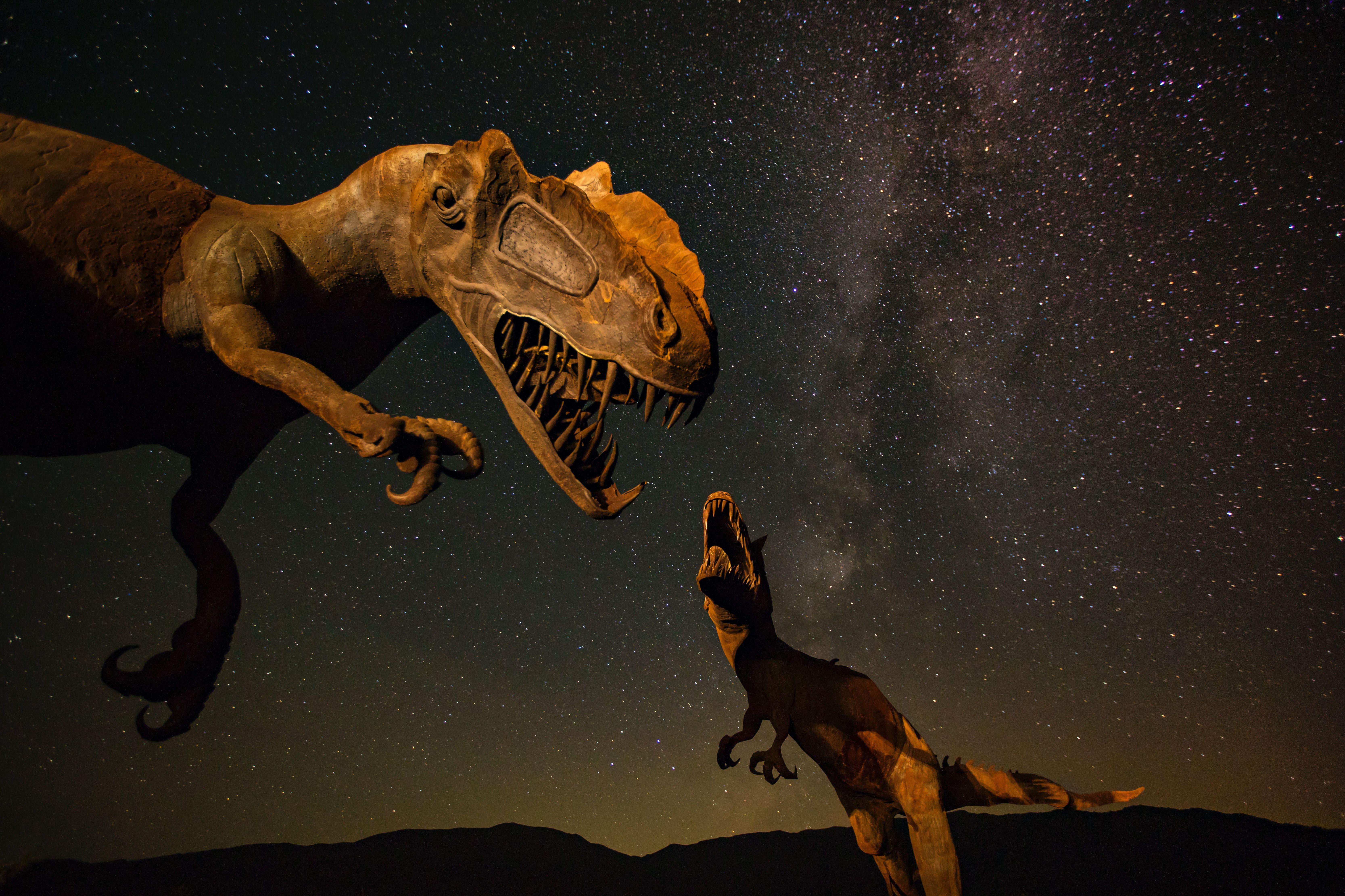 Dinosaurs Death Photos, Download The BEST Free Dinosaurs Death Stock ...