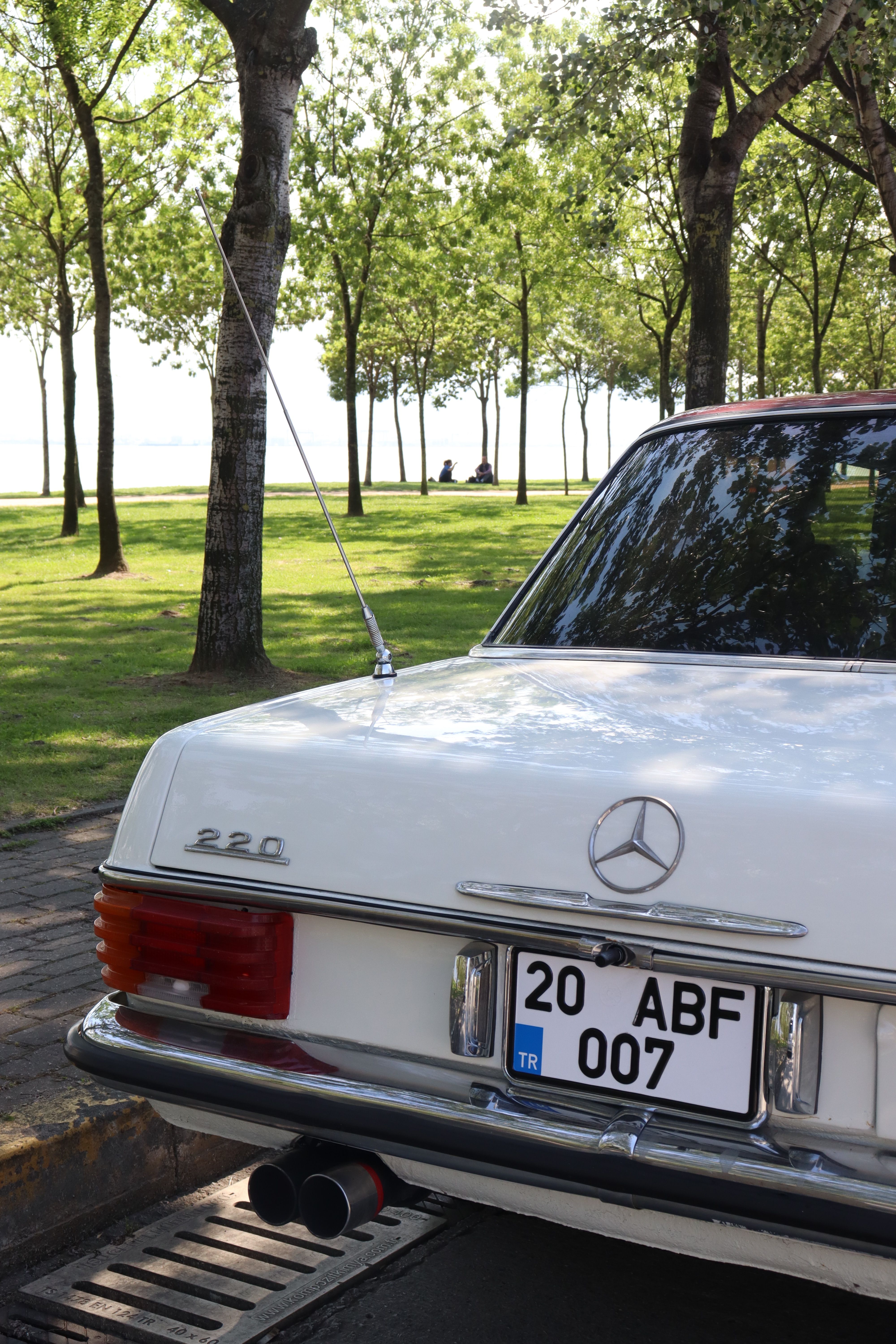 Back of White Mercedes W123 · Free Stock Photo