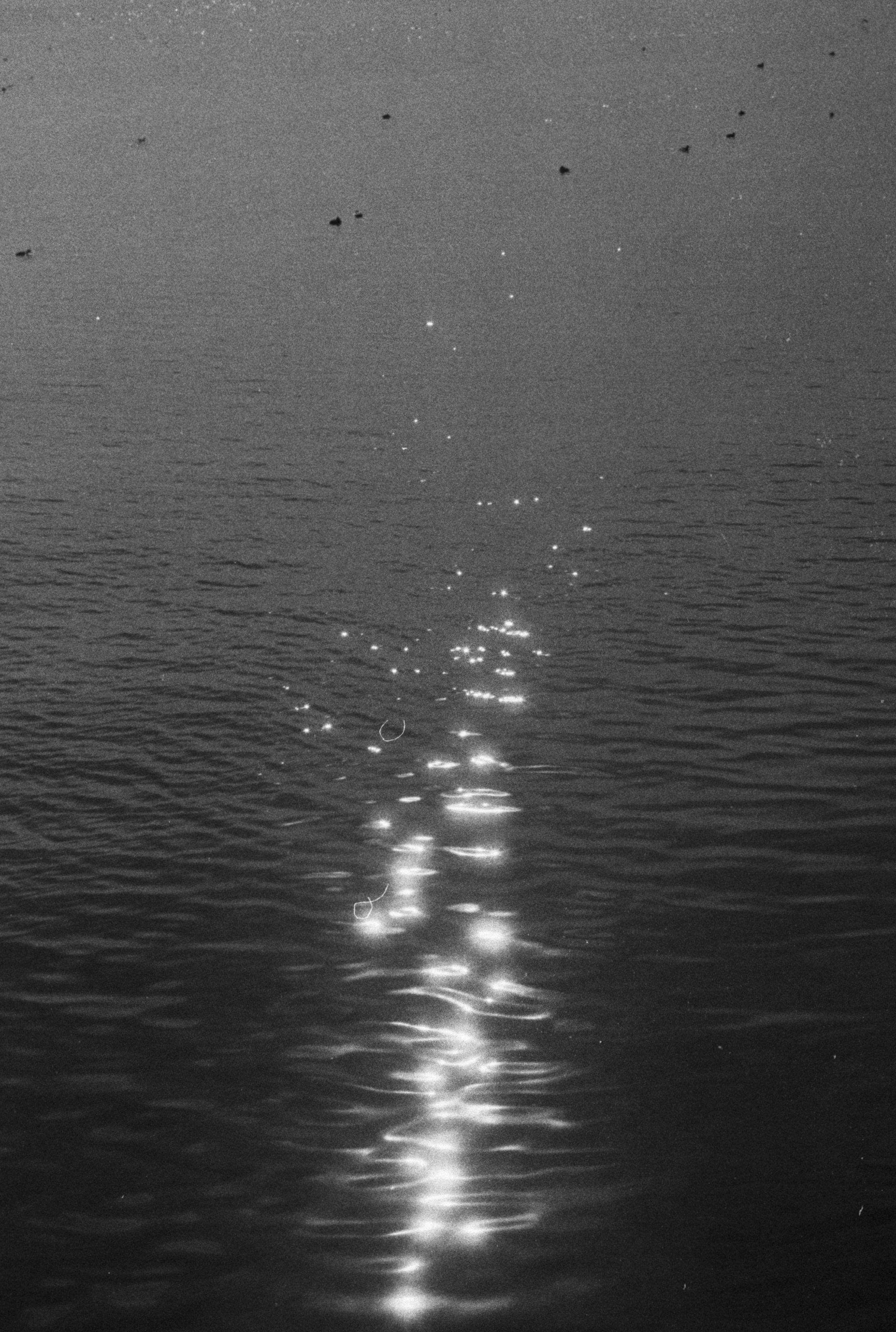 Aesthetic Moon Photos, Download The BEST Free Aesthetic Moon Stock ...