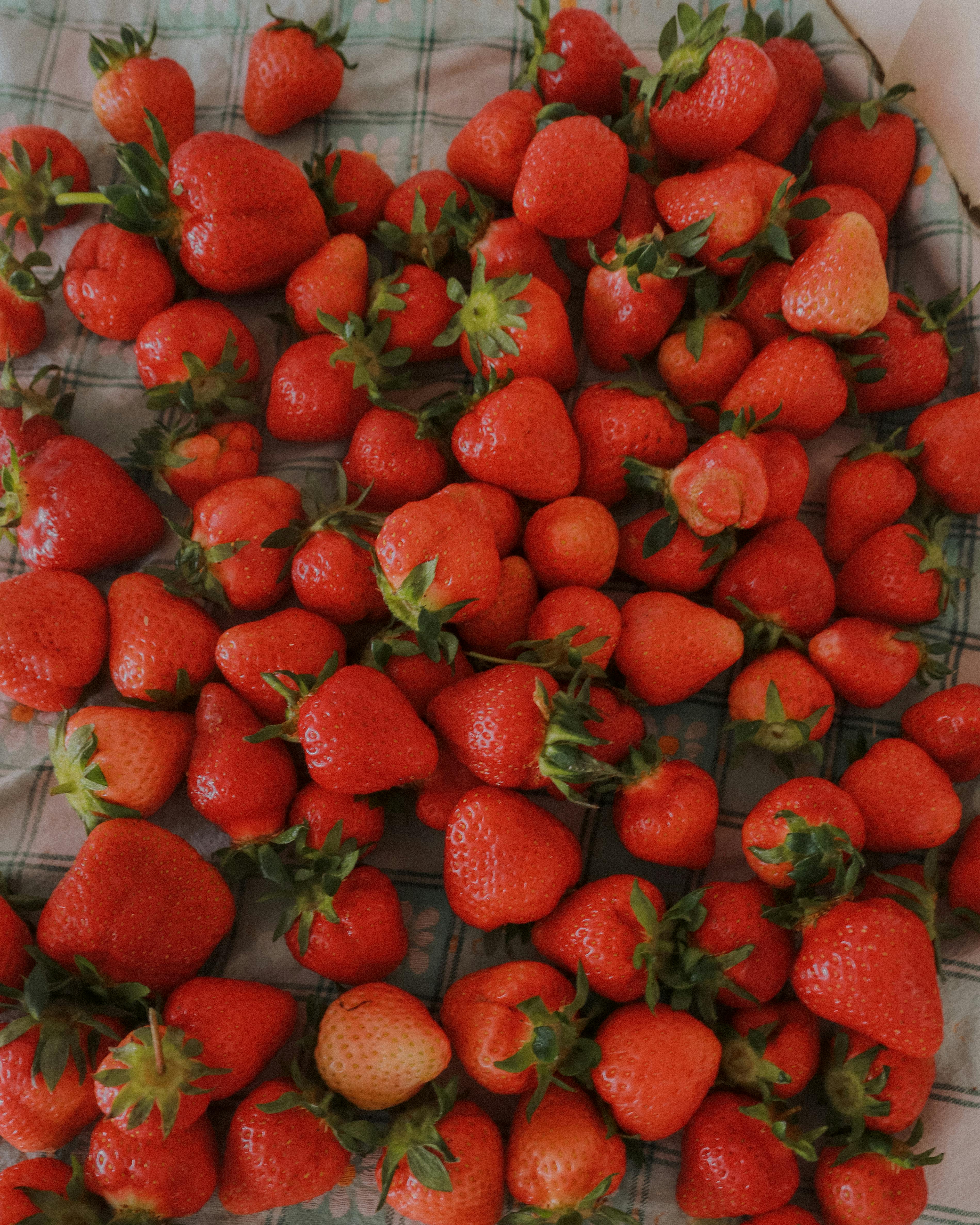 White Bowl of Whole Strawberries · Free Stock Photo