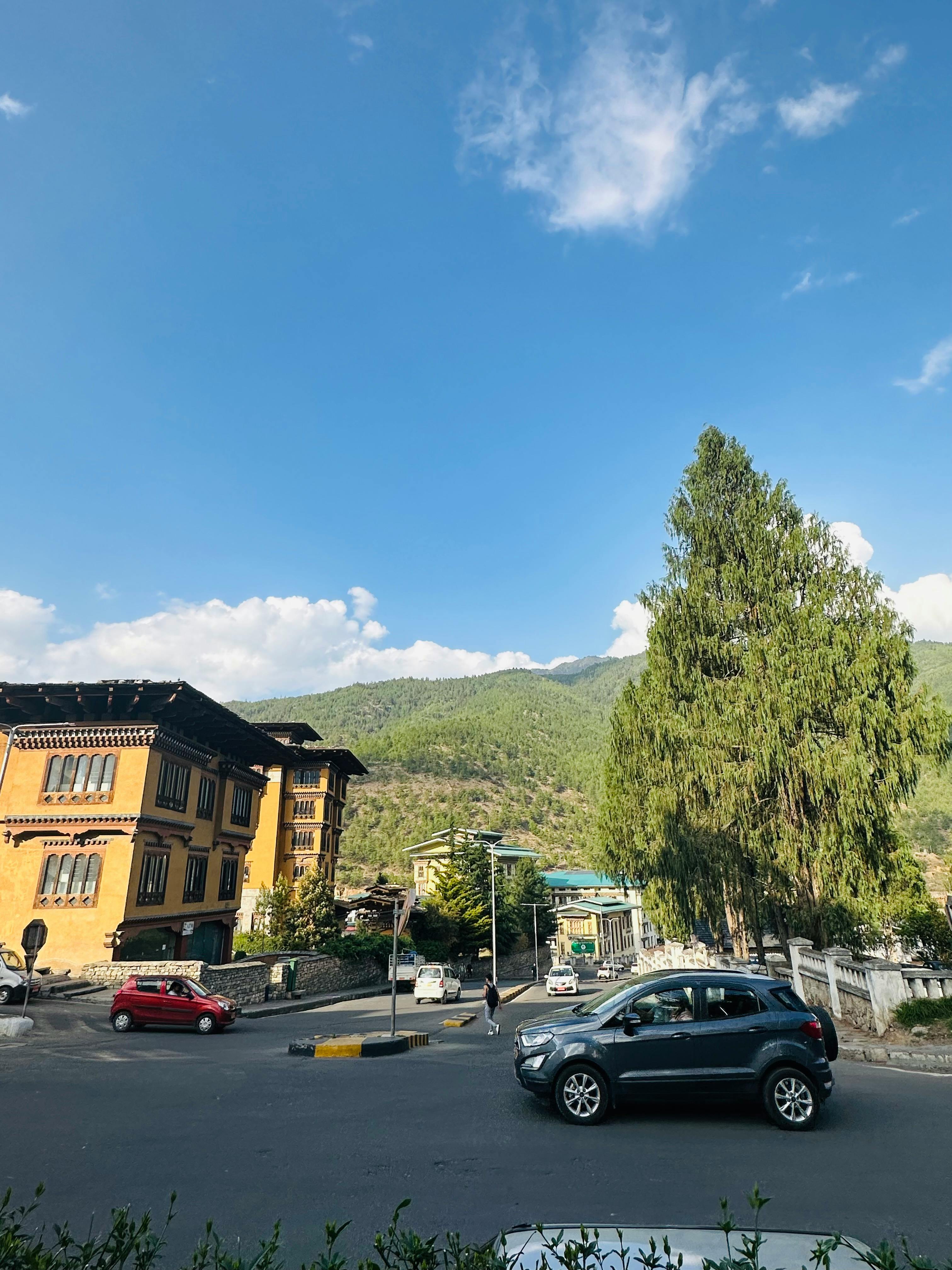 karma wangchuk - การถ่ายภาพ