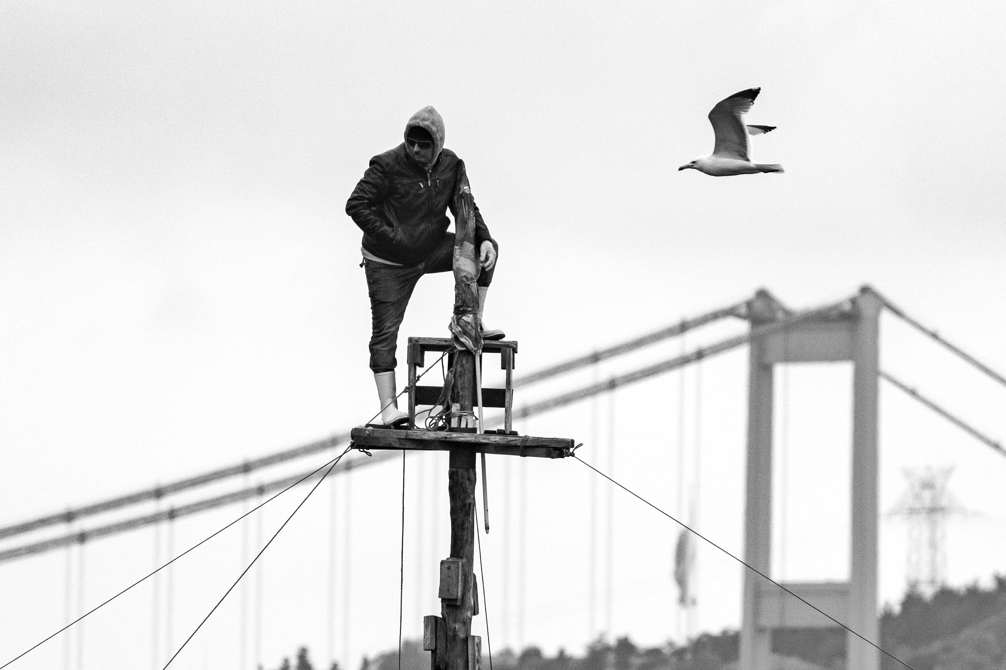 Man on a Pole in Black and White · Free Stock Photo