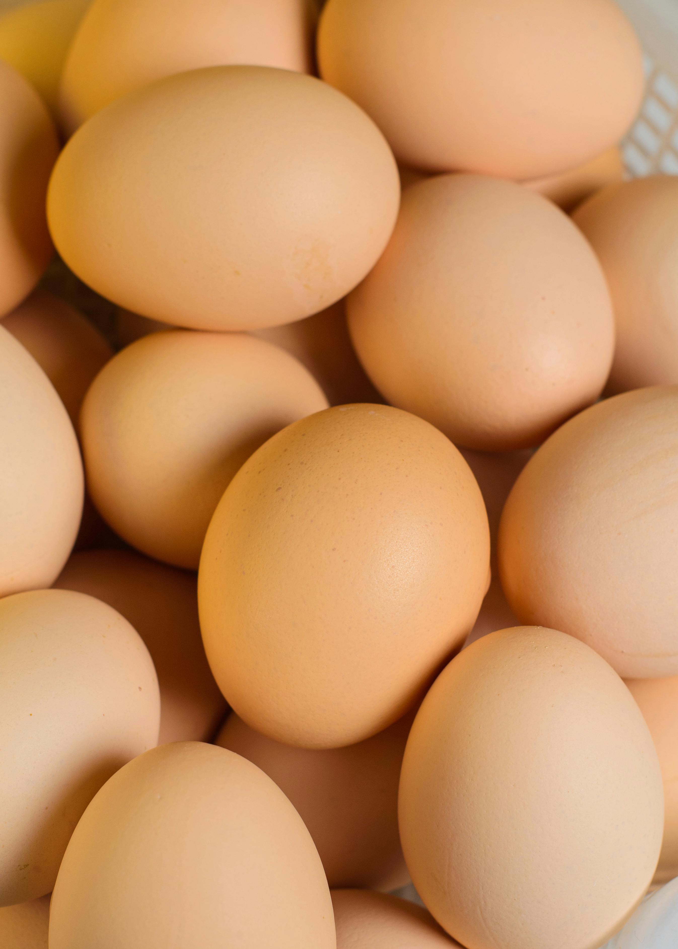 Mound of Eggs · Free Stock Photo