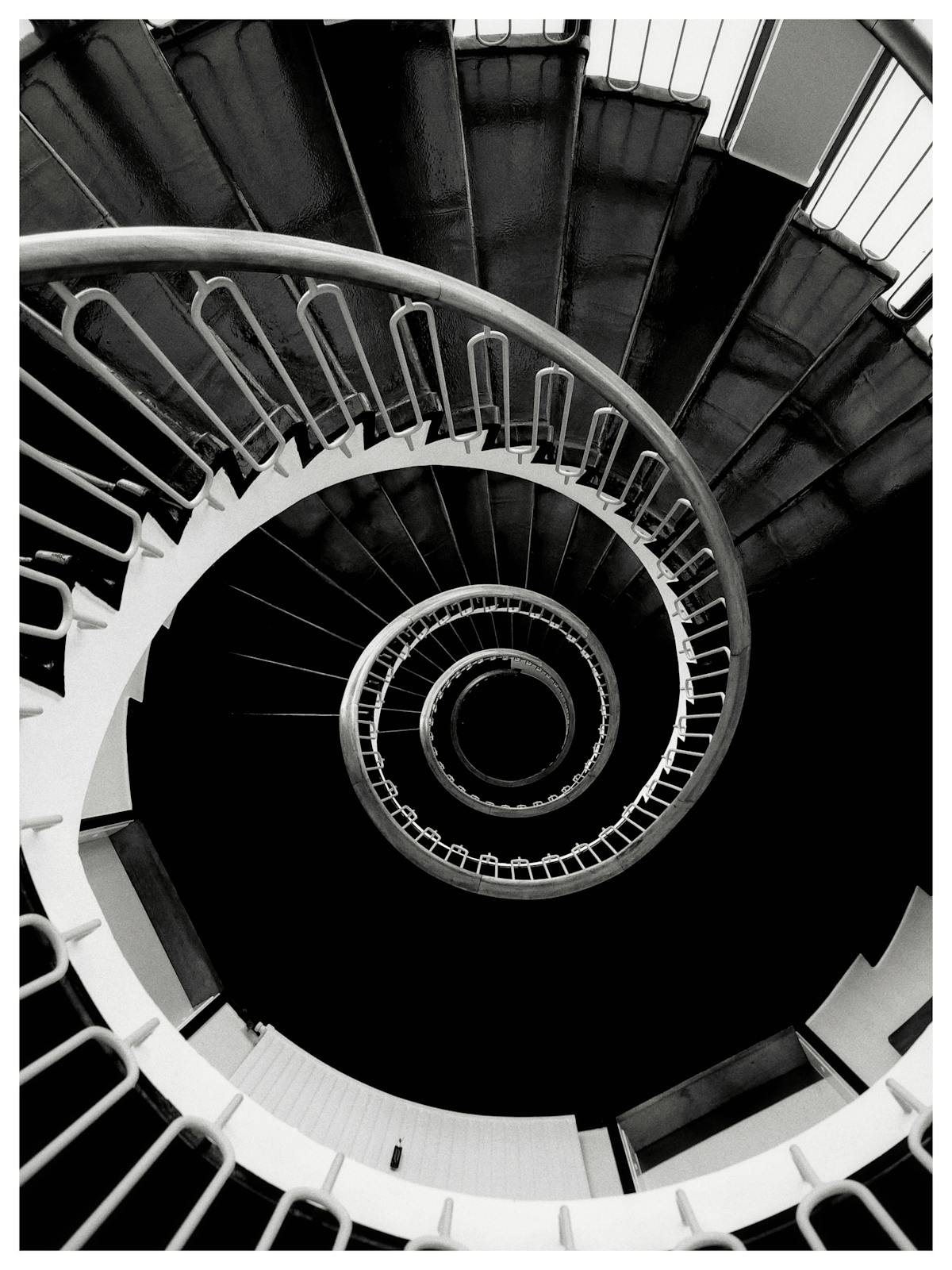 Fibonacci Spiral Photos, Download The BEST Free Fibonacci Spiral Stock ...