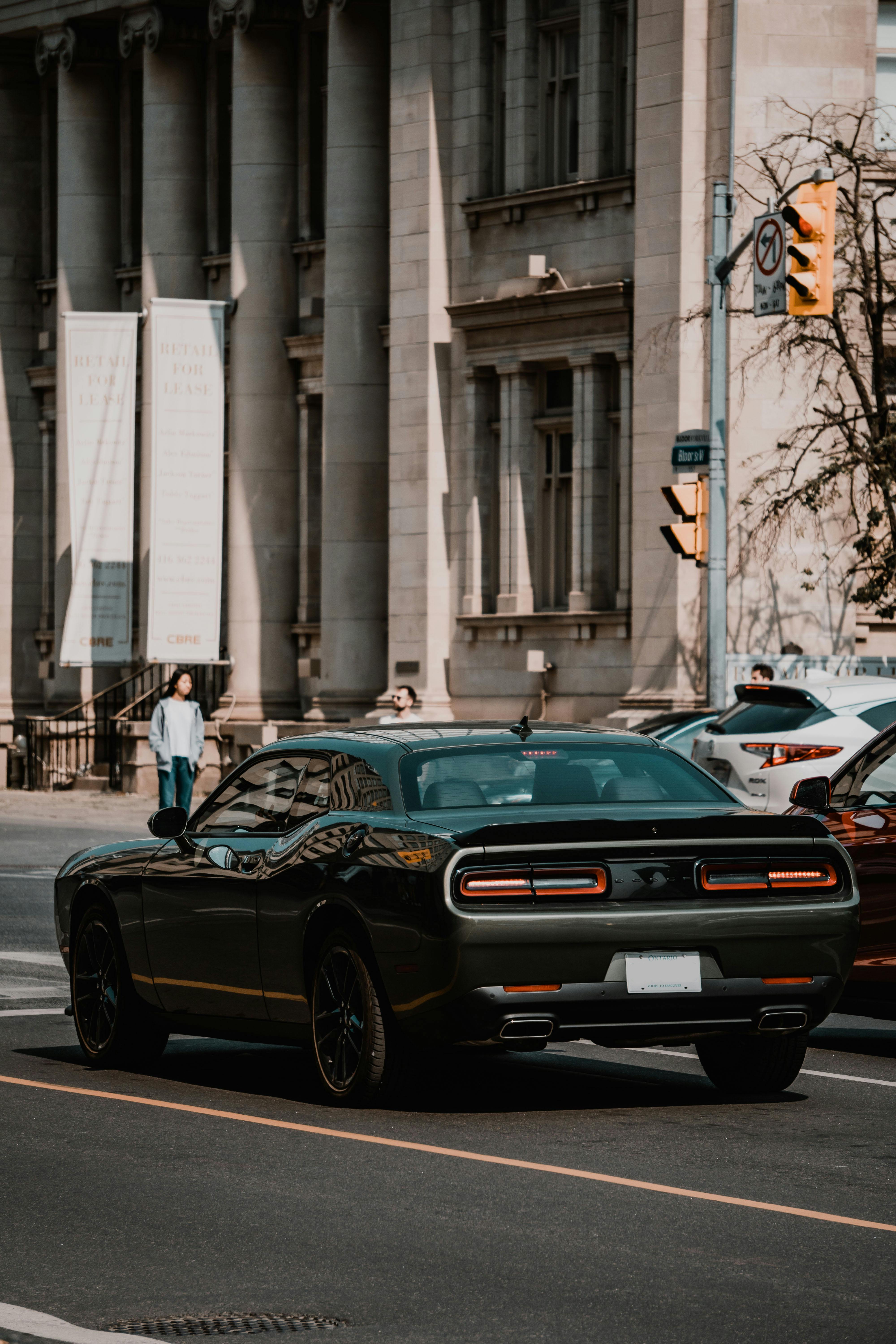 Muscle Spindle Photos, Download The BEST Free Muscle Spindle Stock ...