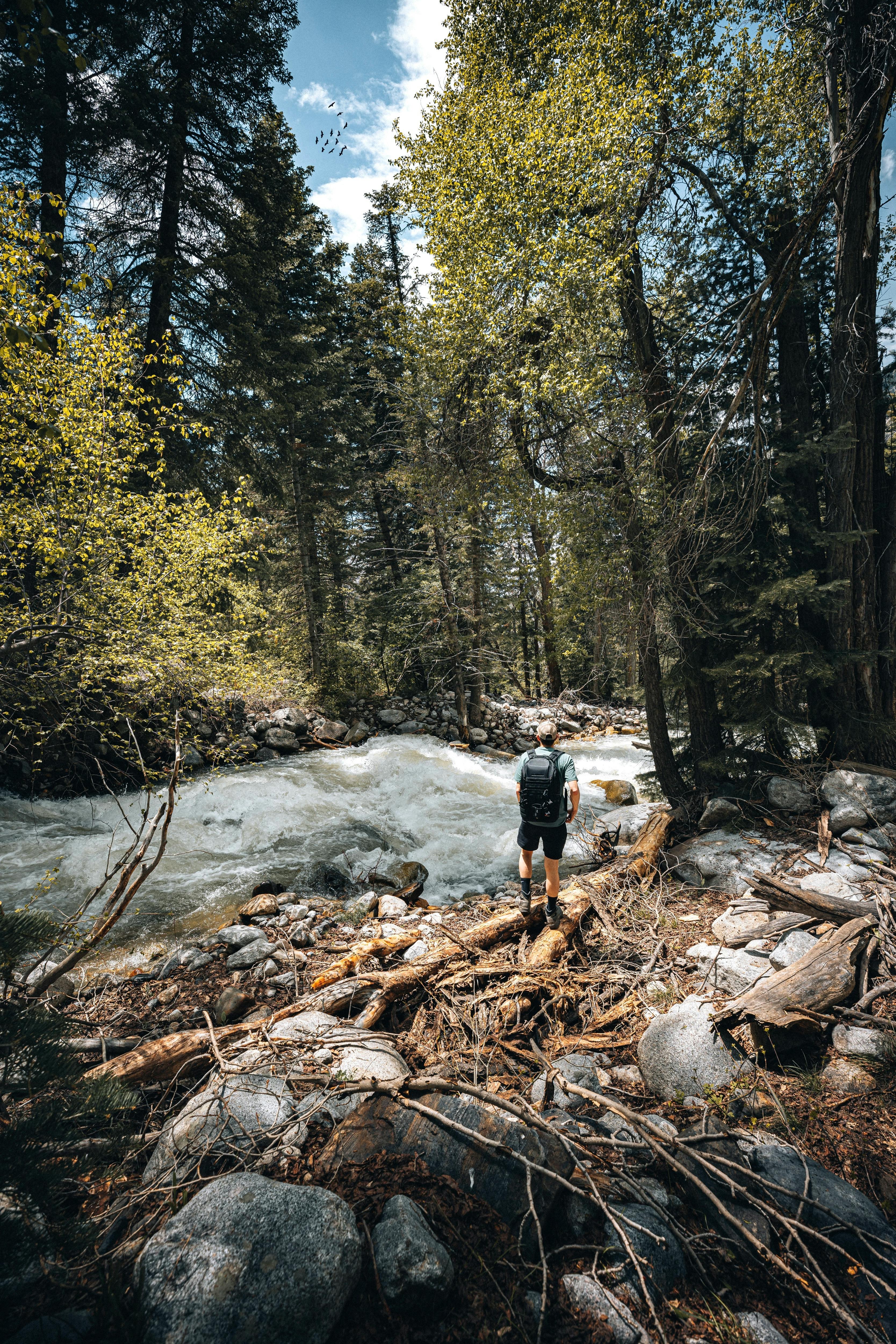 Man Hiking near Stream in Forest · Free Stock Photo