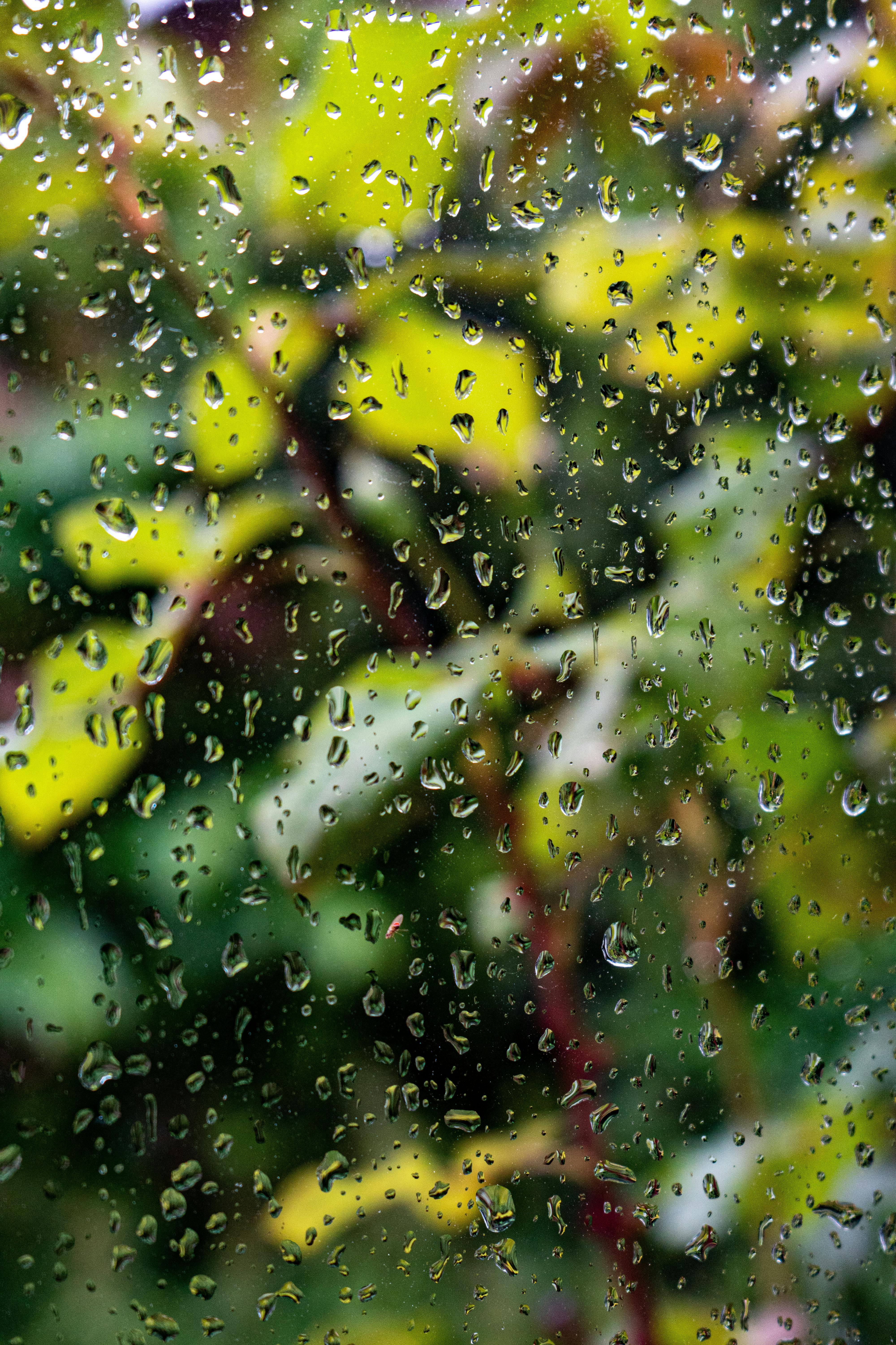 Rain Drops On Vehicle Windshield · Free Stock Photo