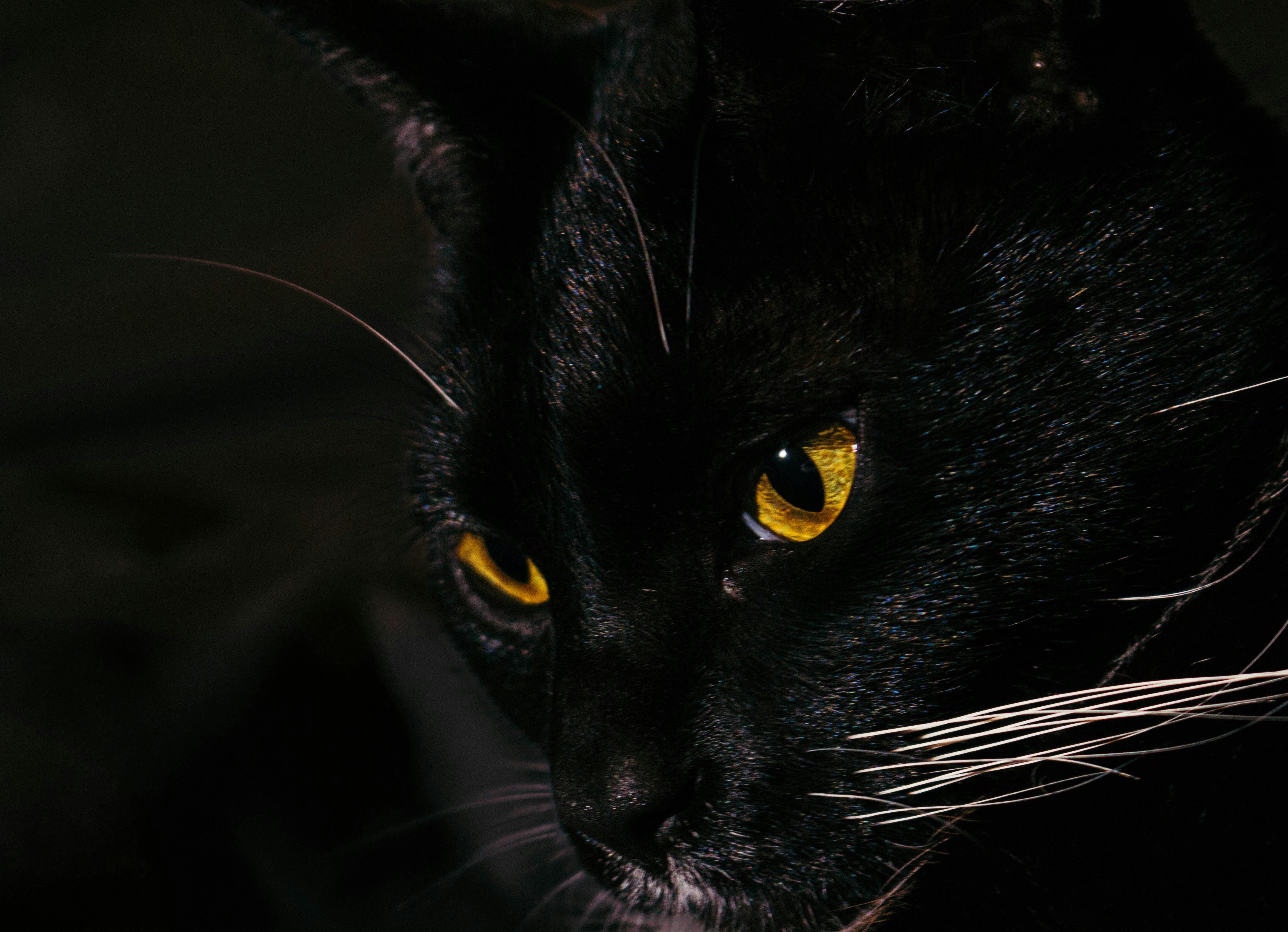 Nairod Reyes - การถ่ายภาพ