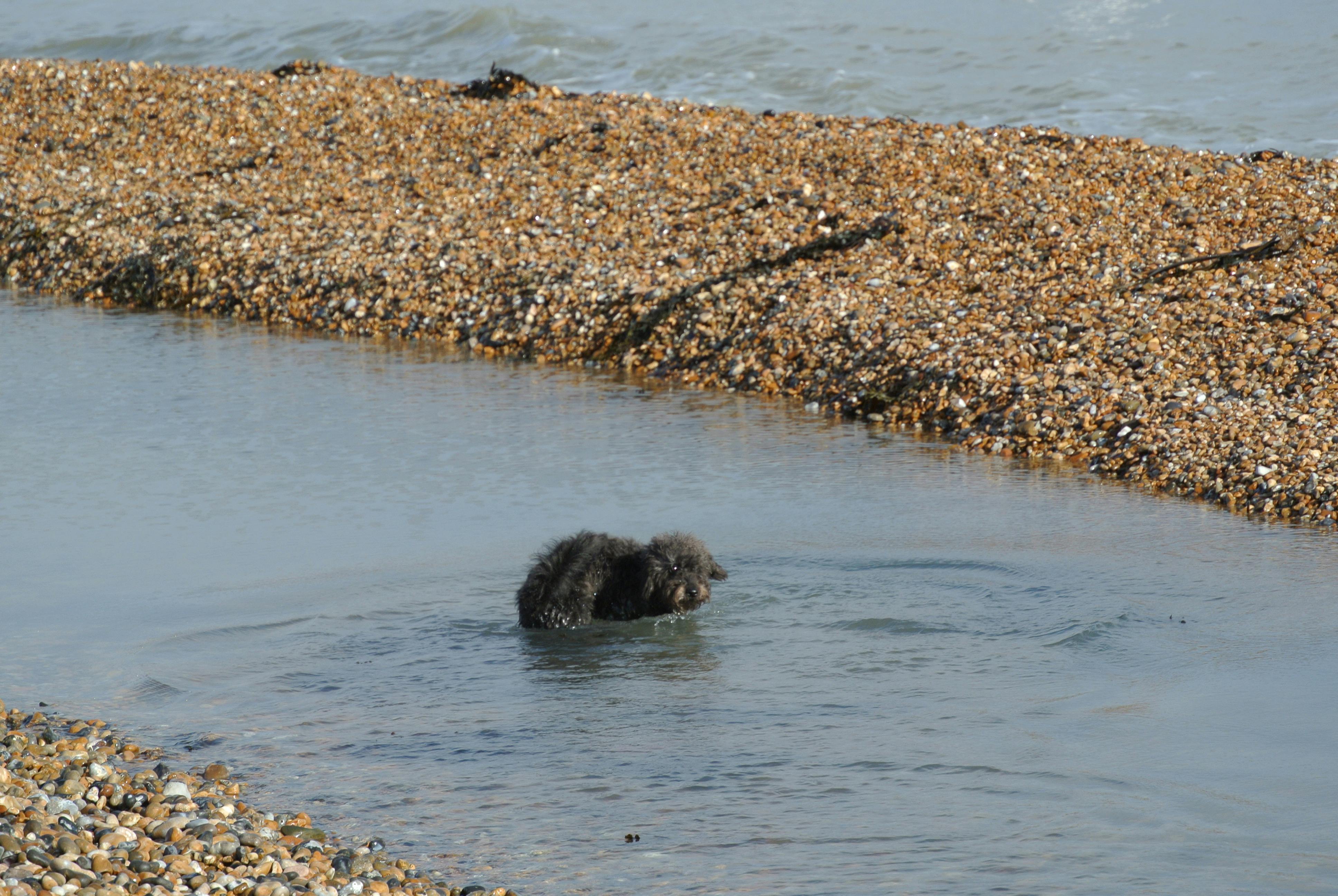 Flynn Robinson - Photographie