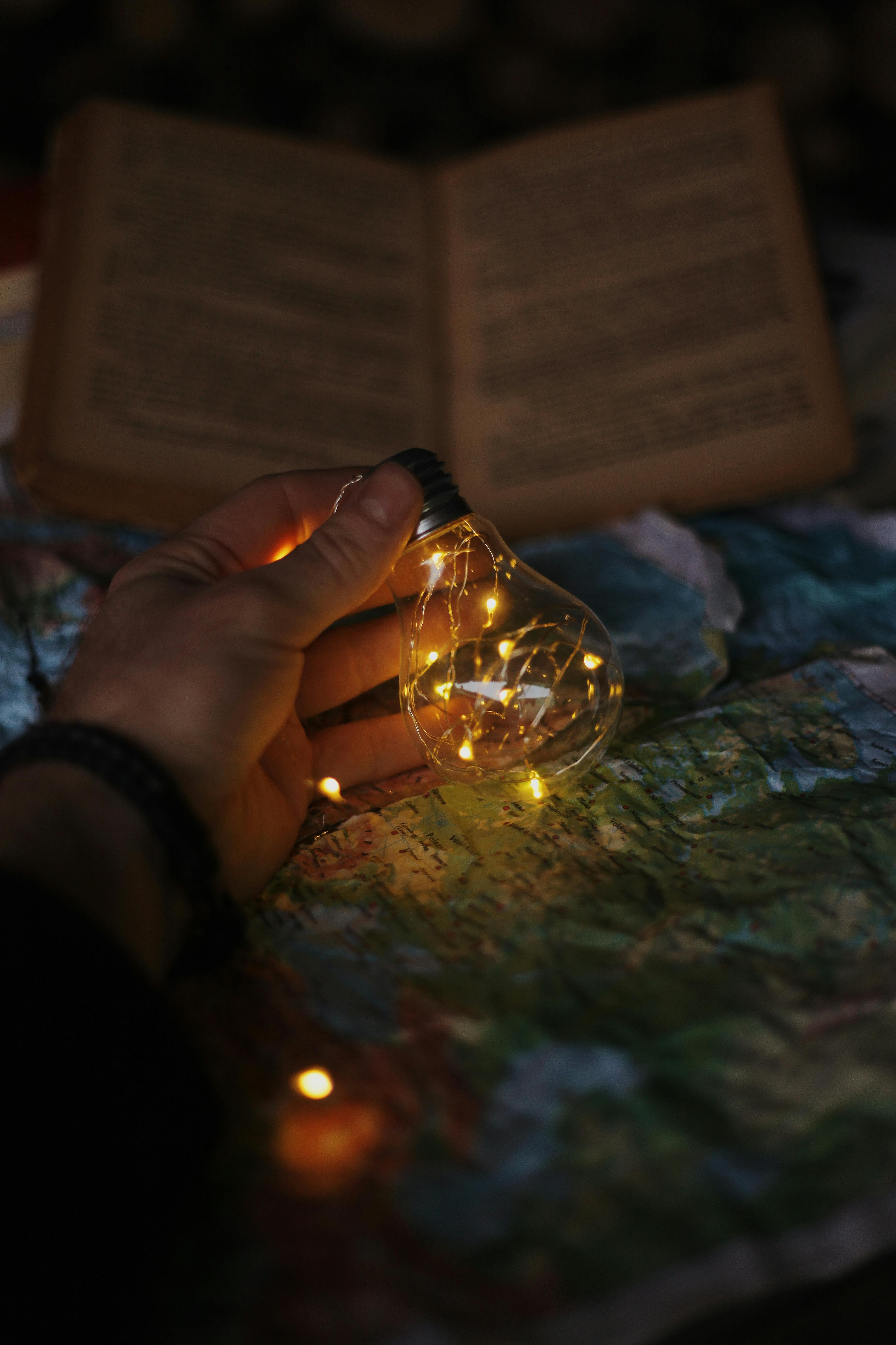 Palm Three Photos, Download The BEST Free Palm Three Stock Photos & HD ...