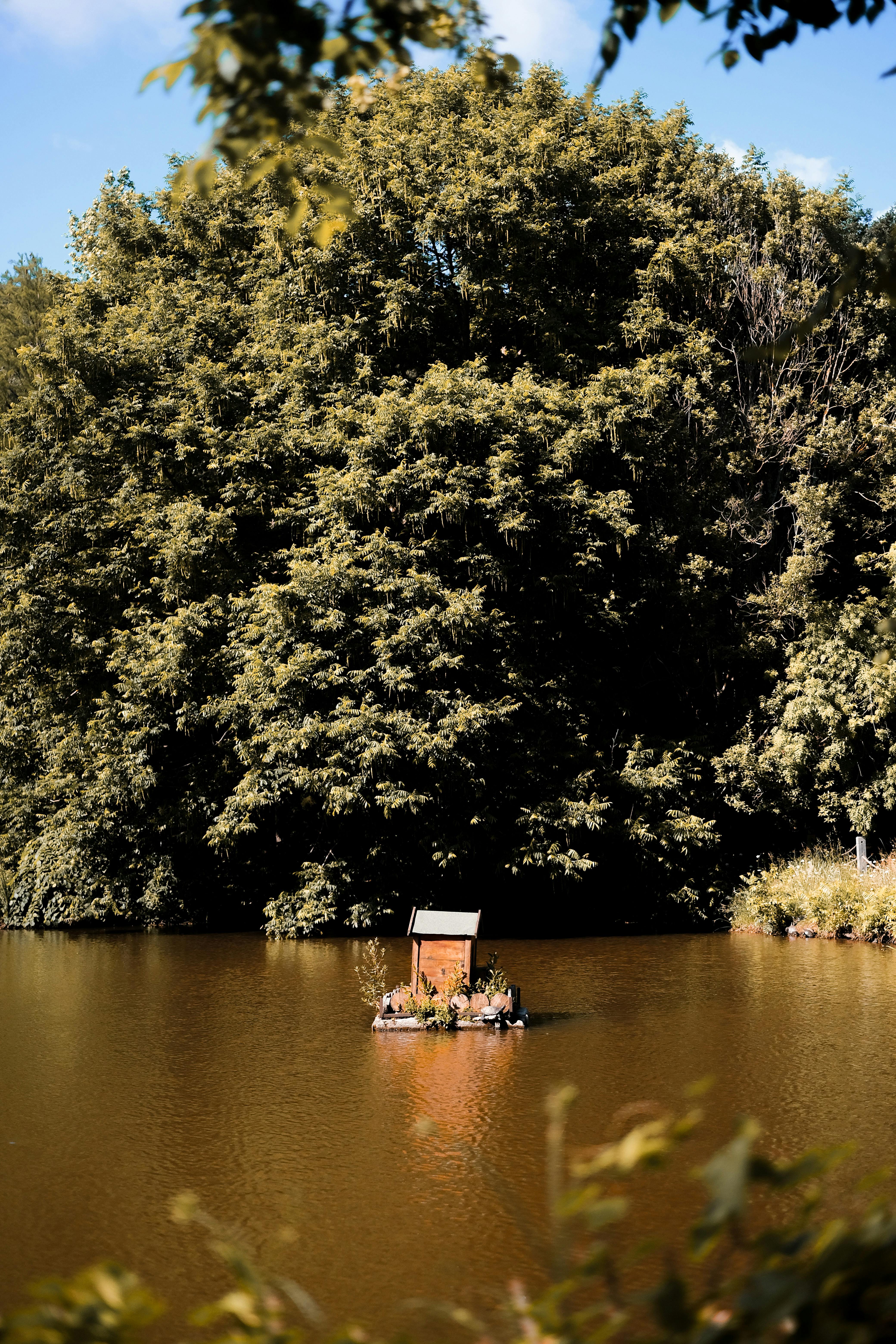 River Hut Photos, Download The BEST Free River Hut Stock Photos & HD Images