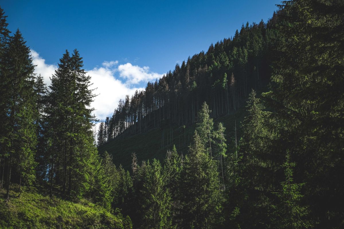 Chill Mountain Wallpaper Photos, Download The BEST Free Chill Mountain ...