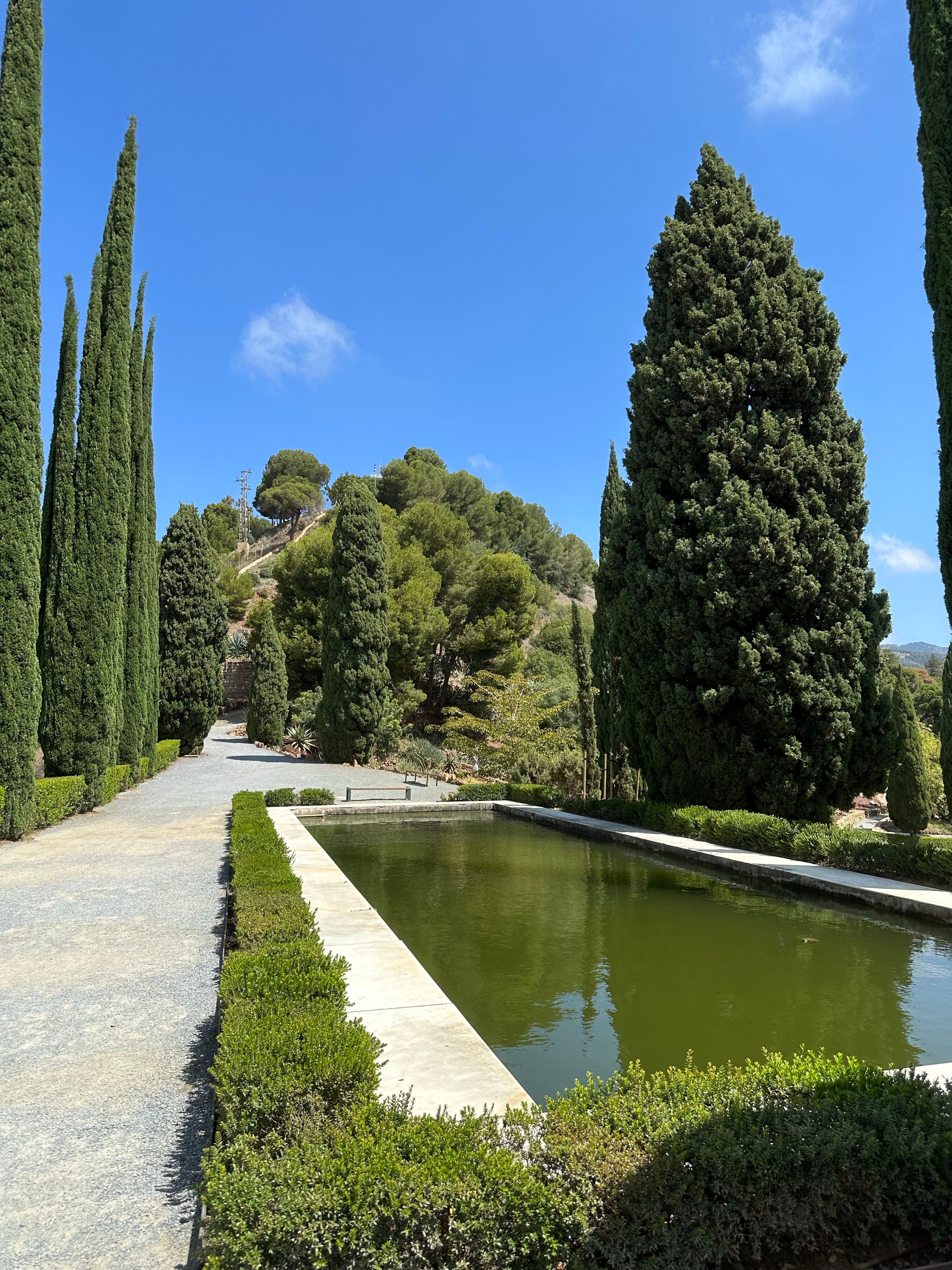 Greenery Garden Photos, Download The BEST Free Greenery Garden Stock ...